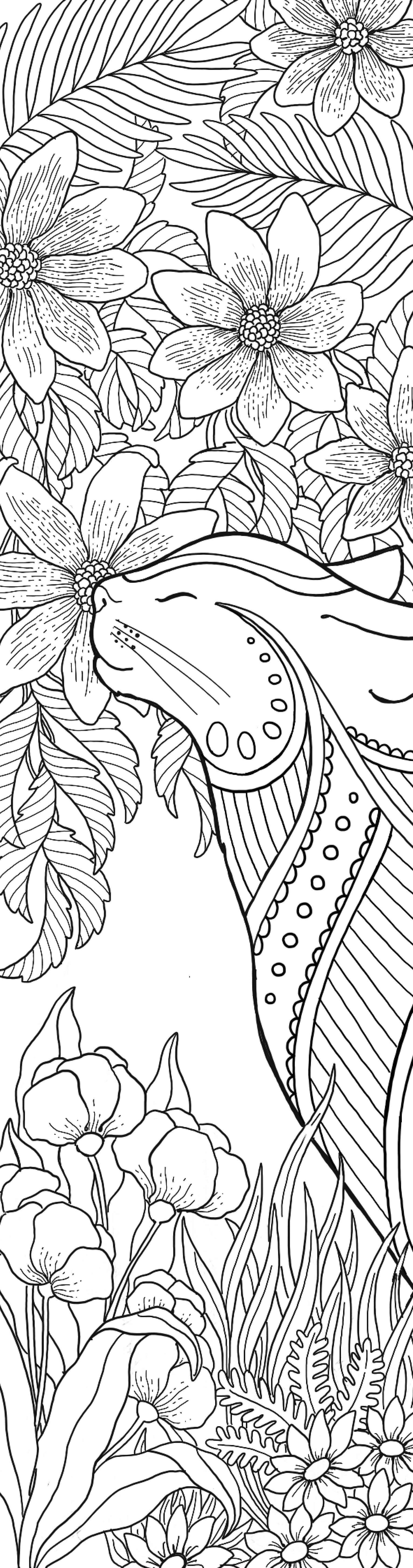 Cats Coloring Bookmarks | Book by Rockpool Publishing | Official ...