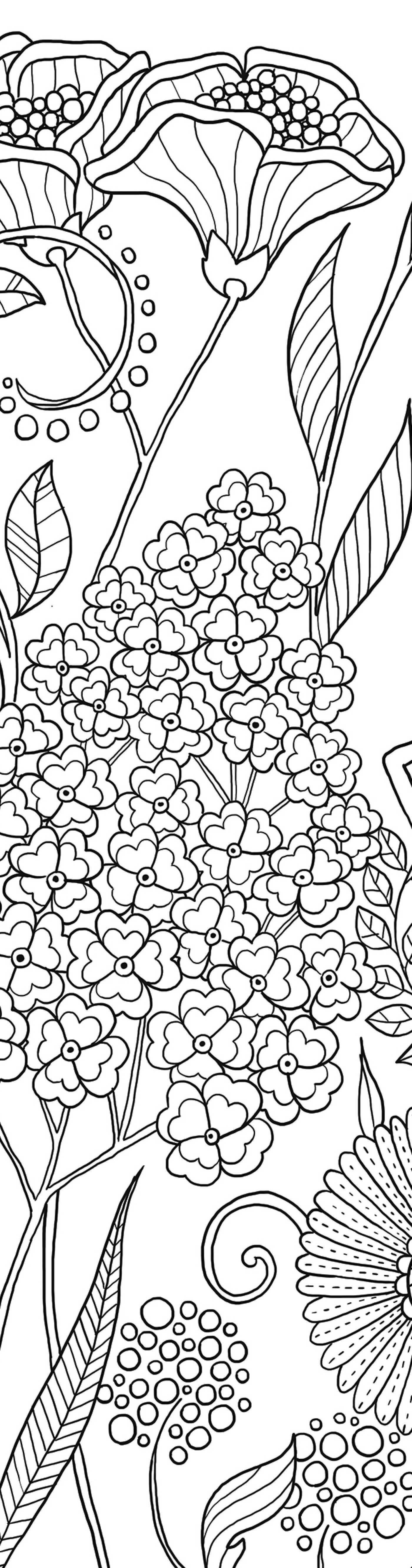 Flowers Coloring Bookmarks | Book by Rockpool Publishing | Official ...