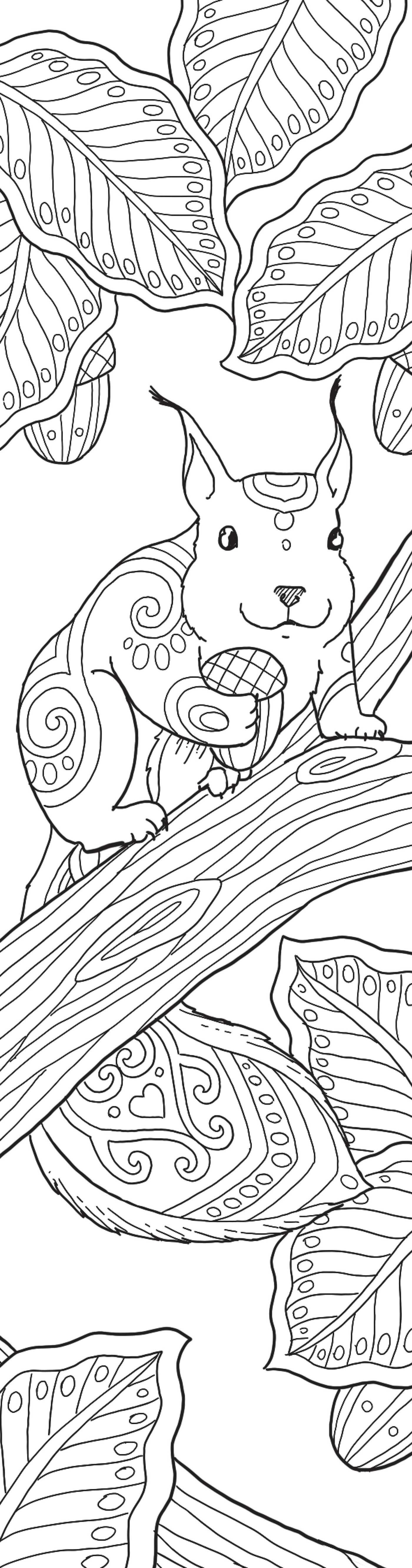 Animals Coloring Bookmarks | Book by Rockpool Publishing | Official ...
