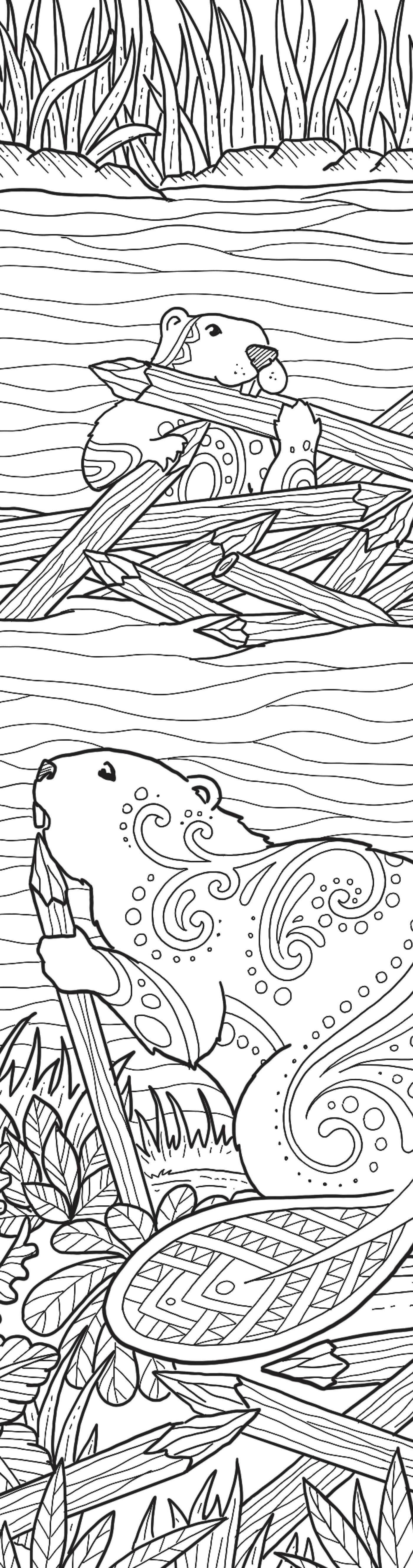 Animals Coloring Bookmarks | Book by Rockpool Publishing | Official ...
