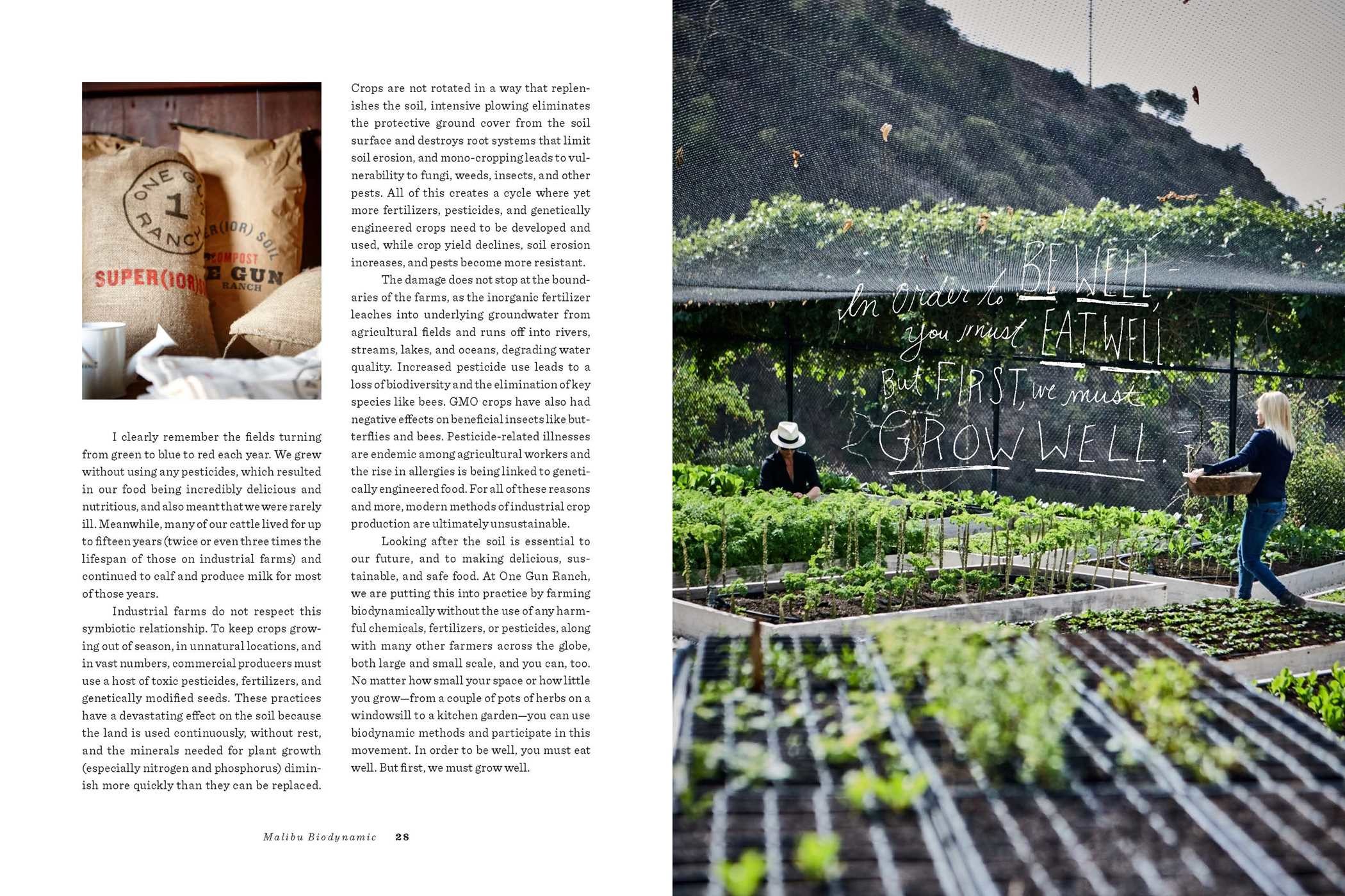One Gun Ranch, Malibu | Book by Alice Bamford, Ann Eysenring | Official ...