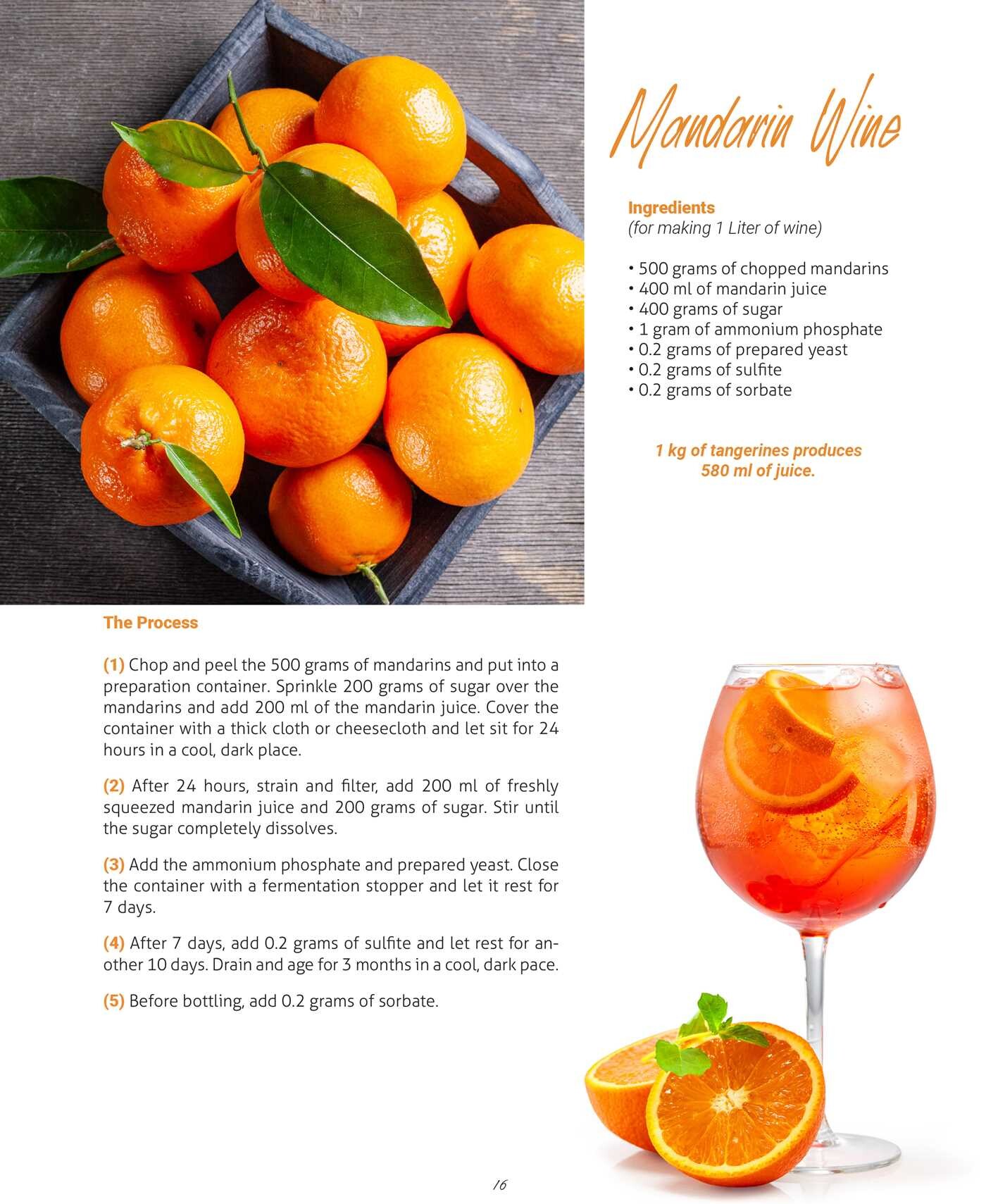 Beyond Grapes | Book by Yacov Morad | Official Publisher Page | Simon ...