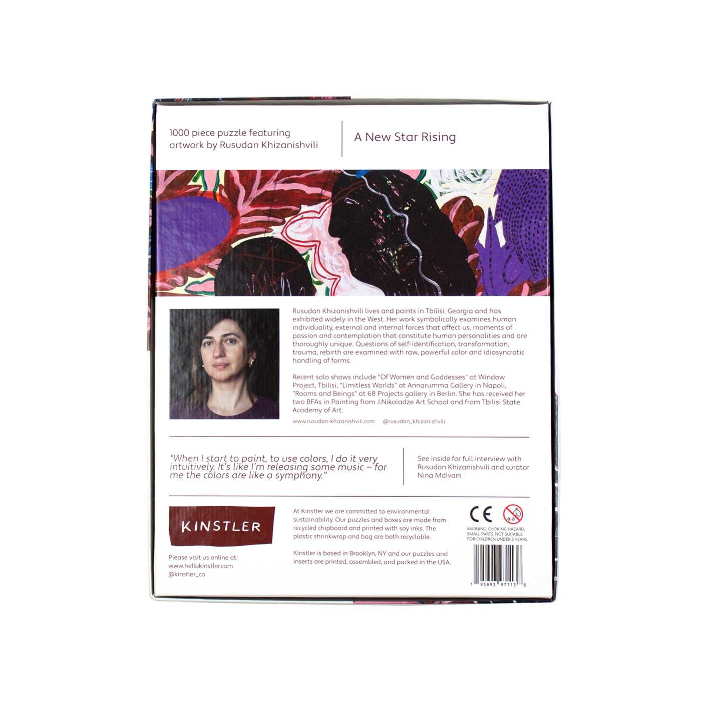 New Star Rising - Book Summary & Video | Official Publisher Page ...