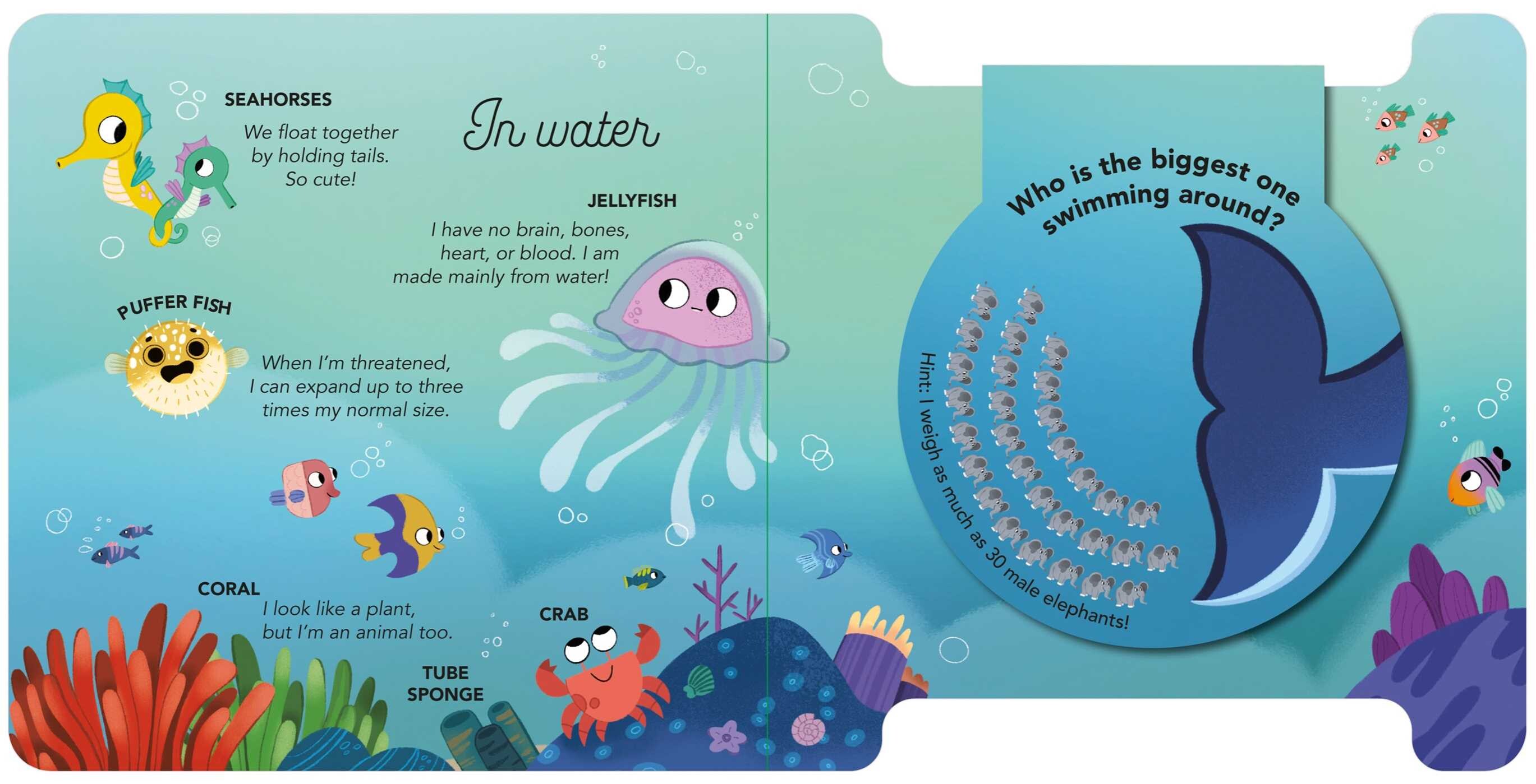 Flip Flap Facts - Animals | Book by Little Genius Books | Official ...