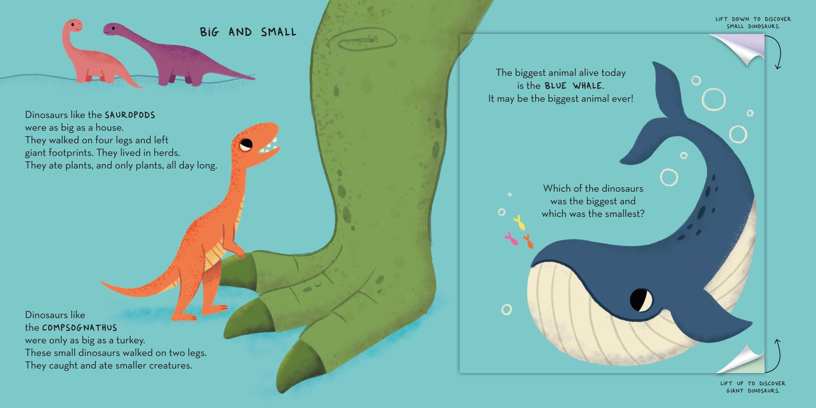 Magic Folding Flaps - Dinosaurs | Book by Little Genius Books | Official Publisher Page | Simon ...
