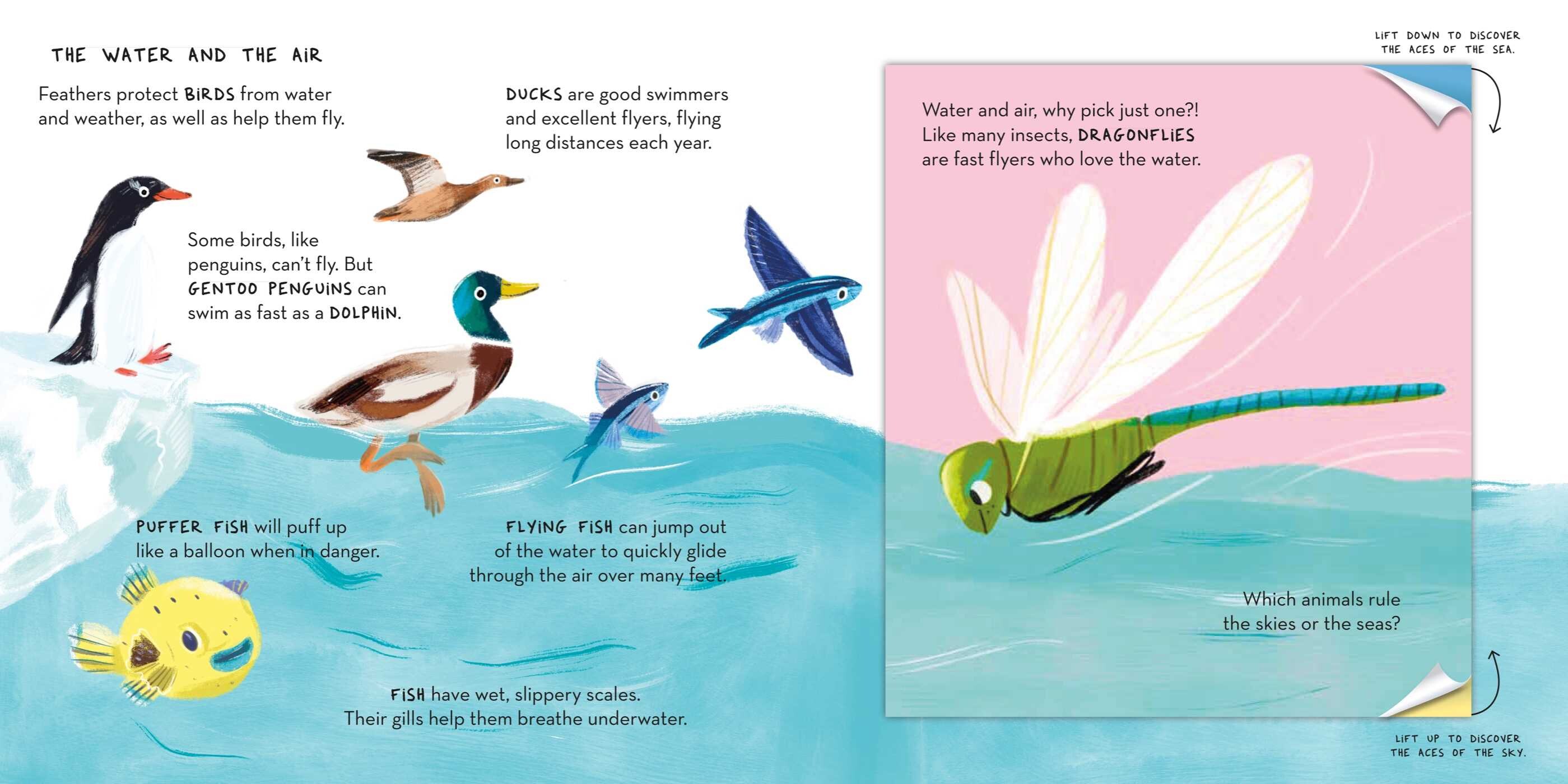 Magic Folding Flaps - Animals | Book by Little Genius Books | Official ...