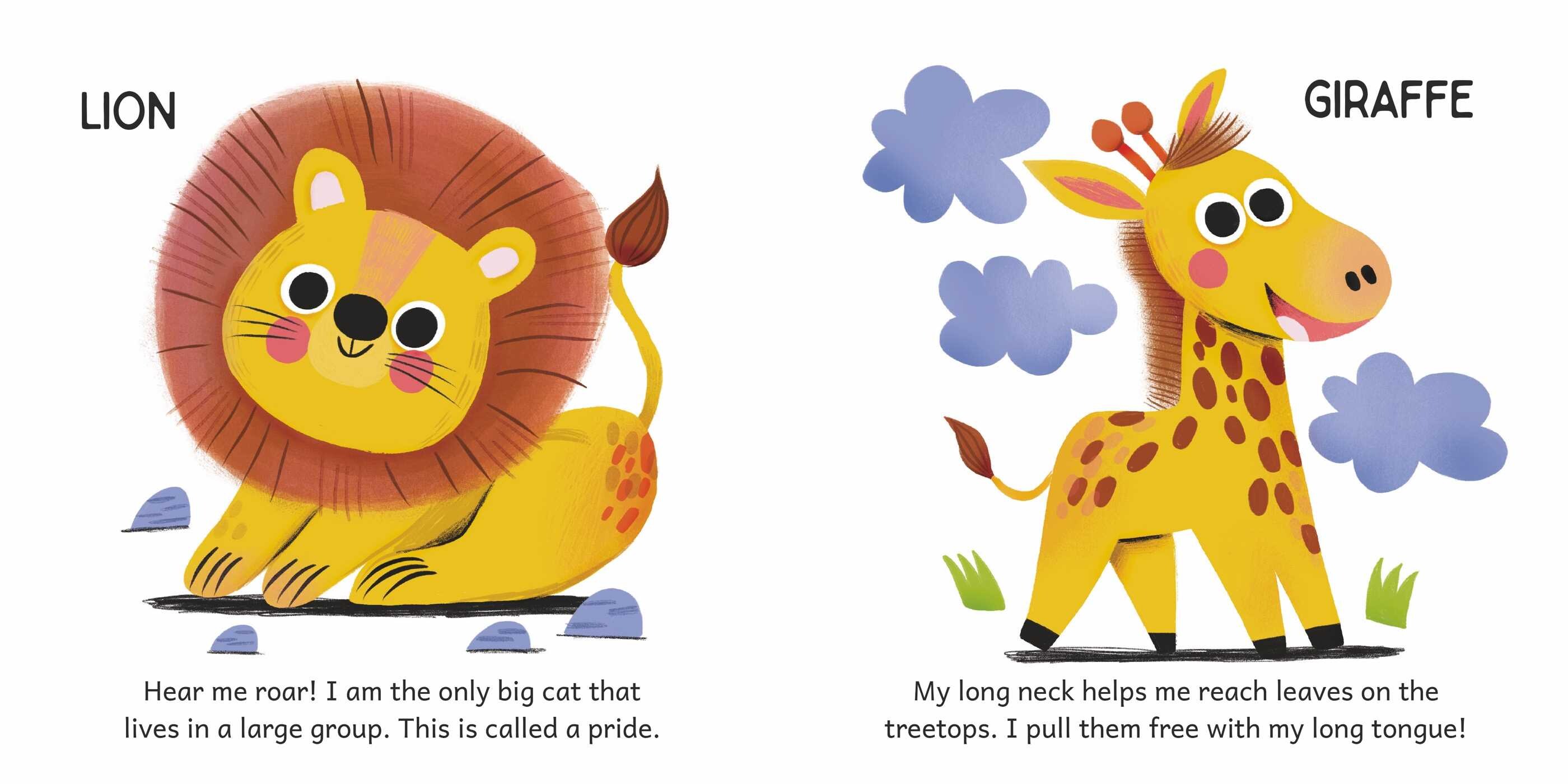 Magnetic Level-Up - Animals | Book by Little Genius Books | Official ...