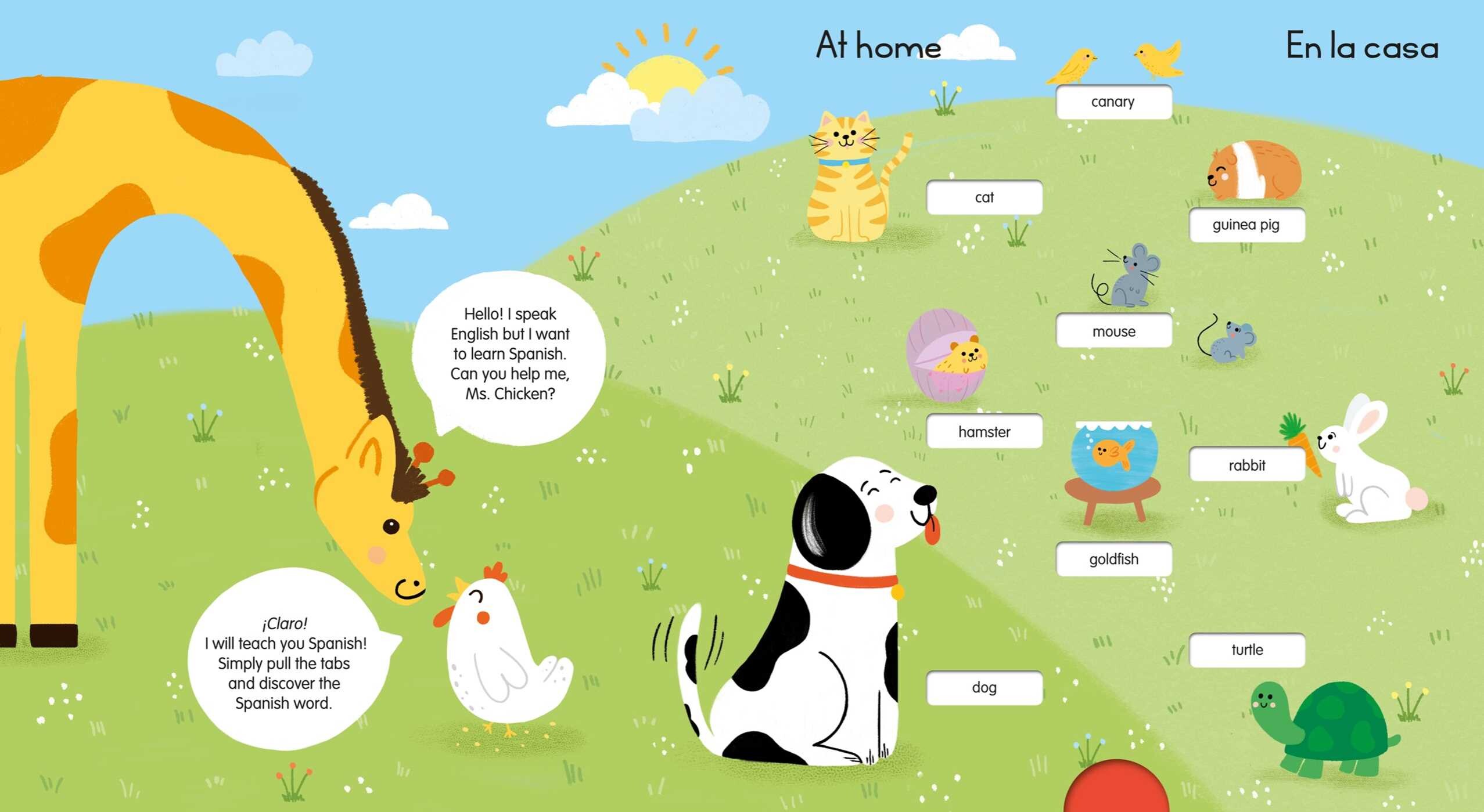 My 100 First Spanish Words - Pull Tab - Animals | Book by Little Genius ...