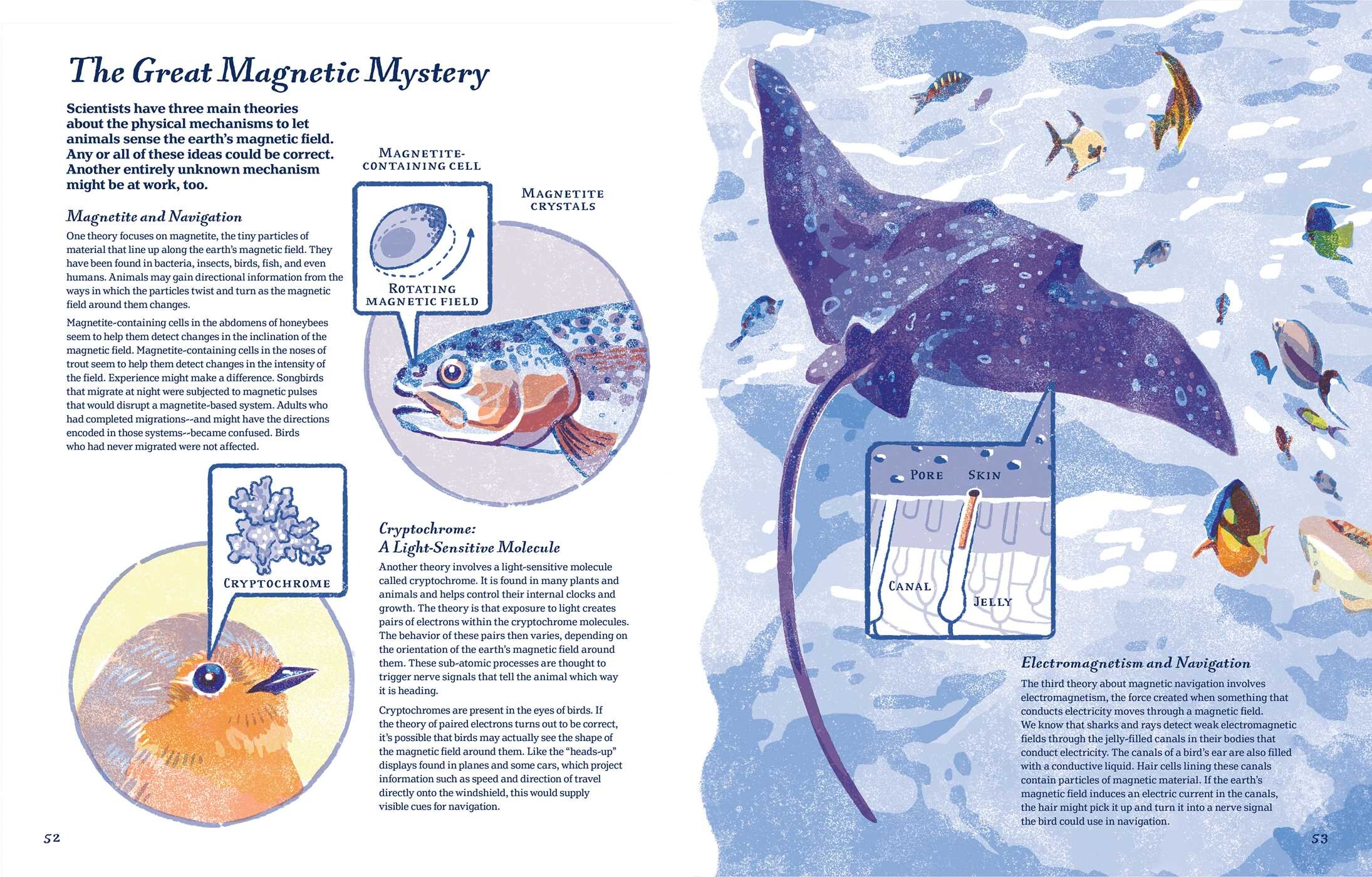 Supernavigators | Book by David Barrie, Rebecca Stefoff, Qu Lan ...