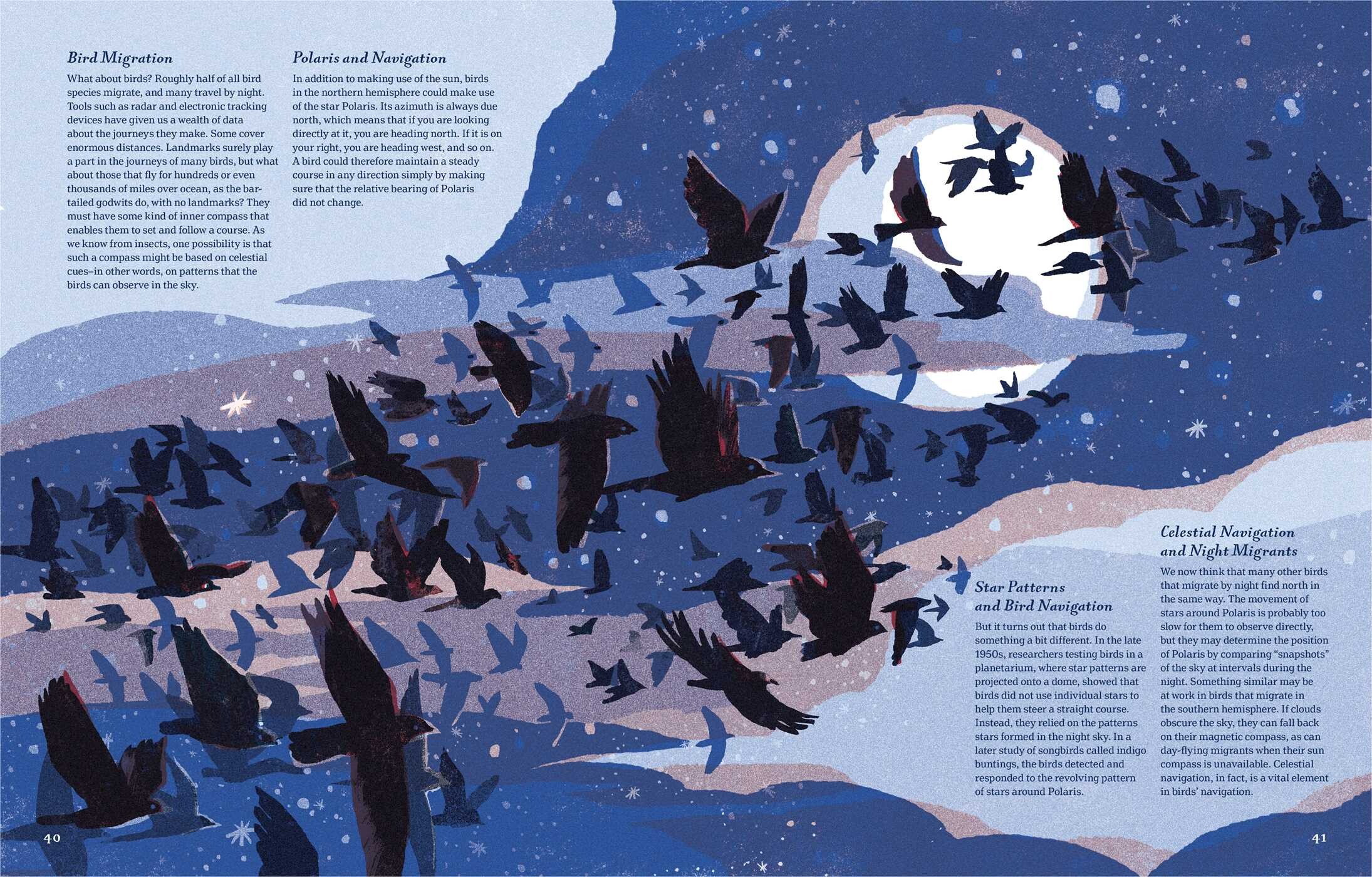 Supernavigators | Book by David Barrie, Rebecca Stefoff, Qu Lan ...