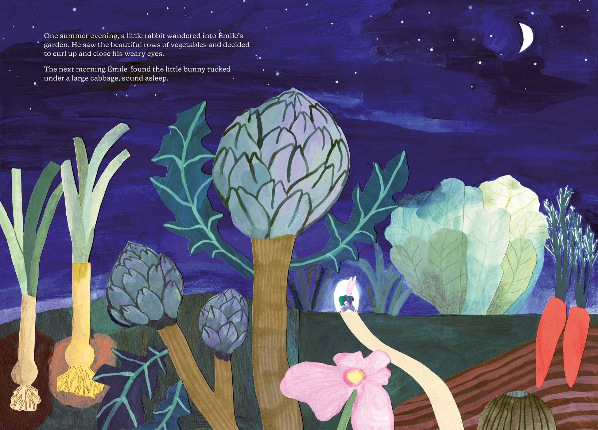 A Home for Felix | Book by Stephanie Demasse-Pottier, Laura Kientzler ...