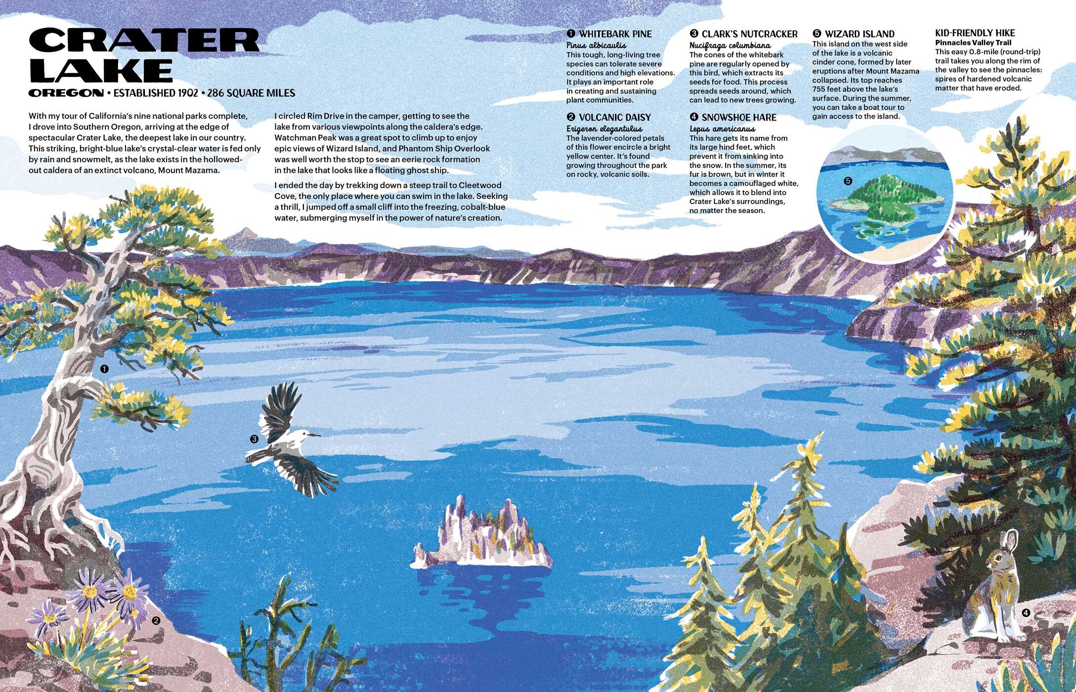 The Nature of Our National Parks | Book by Alexander M. Rigby, Qu Lan ...