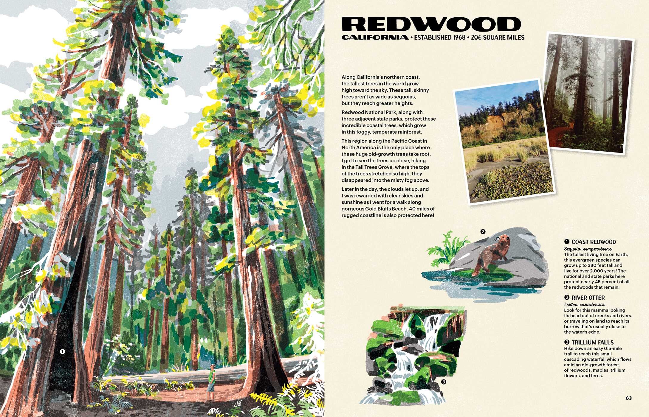 The Nature of Our National Parks | Book by Alexander M. Rigby, Qu Lan ...