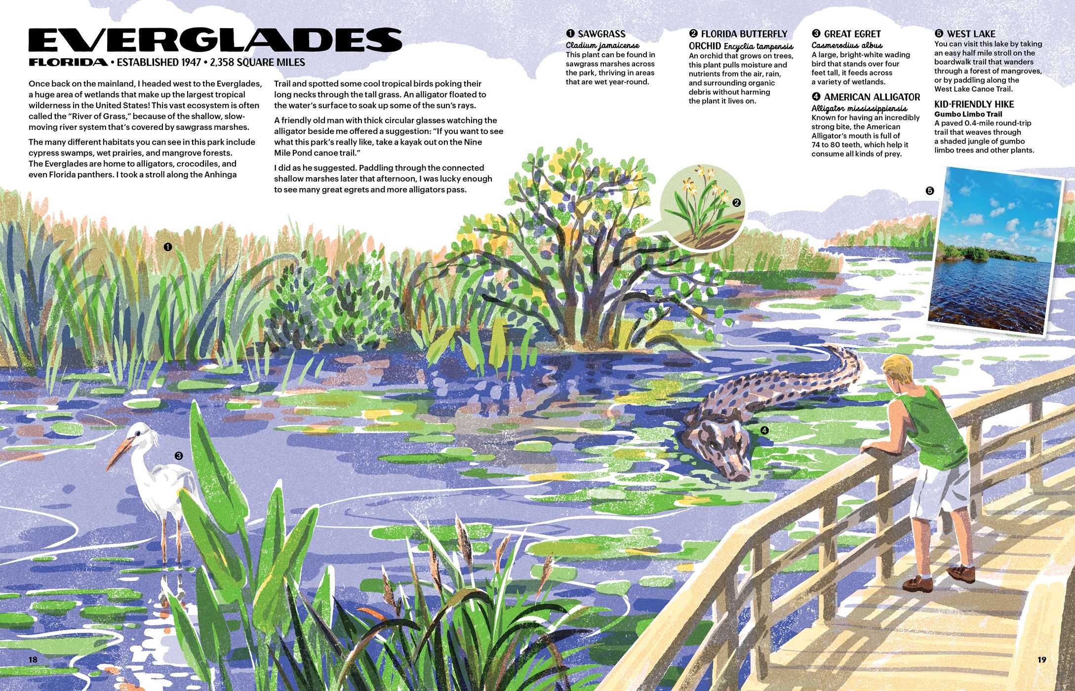 The Nature of Our National Parks | Book by Alexander M. Rigby, Qu Lan ...