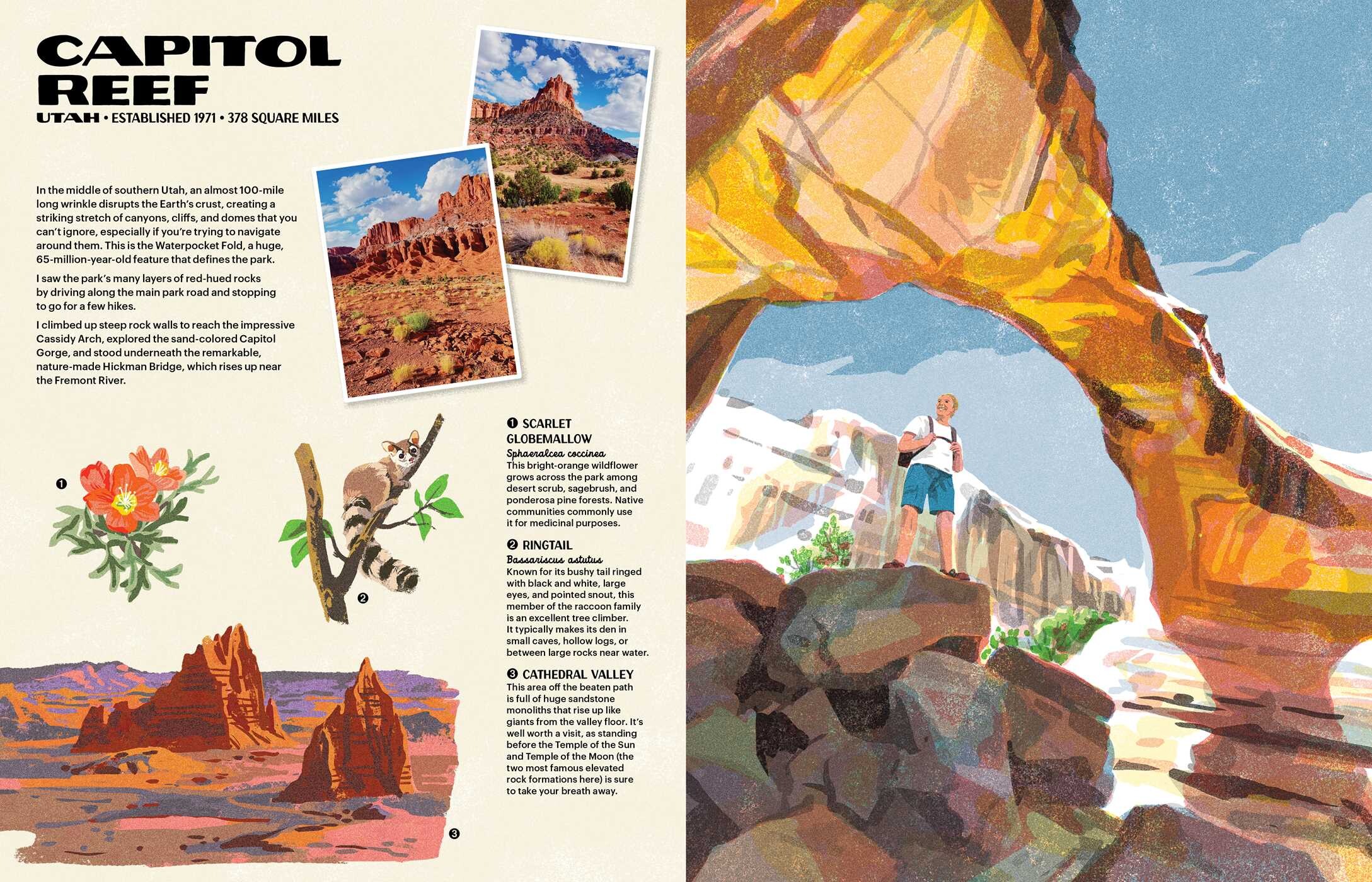 The Nature of Our National Parks | Book by Alexander M. Rigby, Qu Lan ...