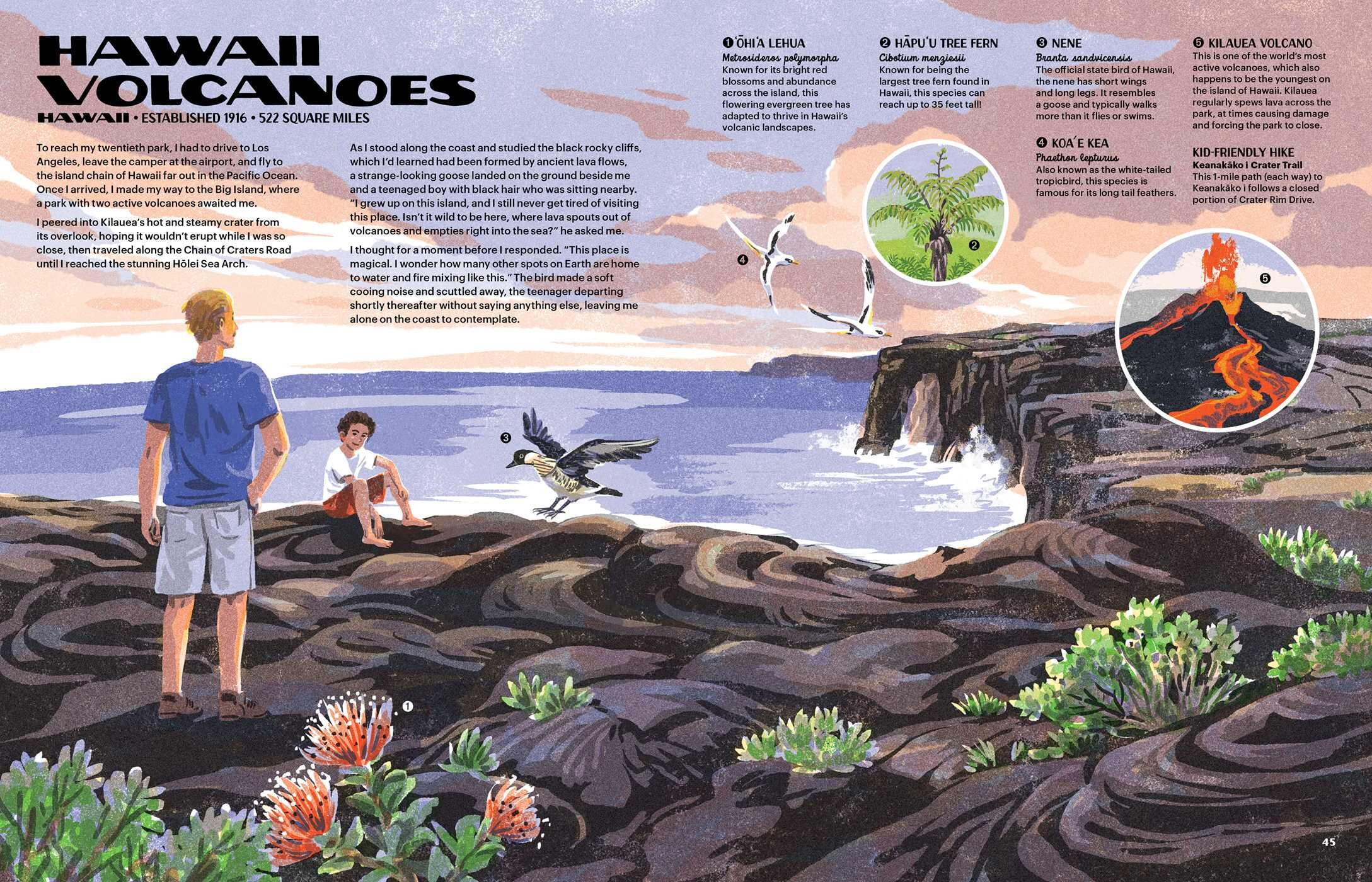 The Nature of Our National Parks | Book by Alexander M. Rigby, Qu Lan ...