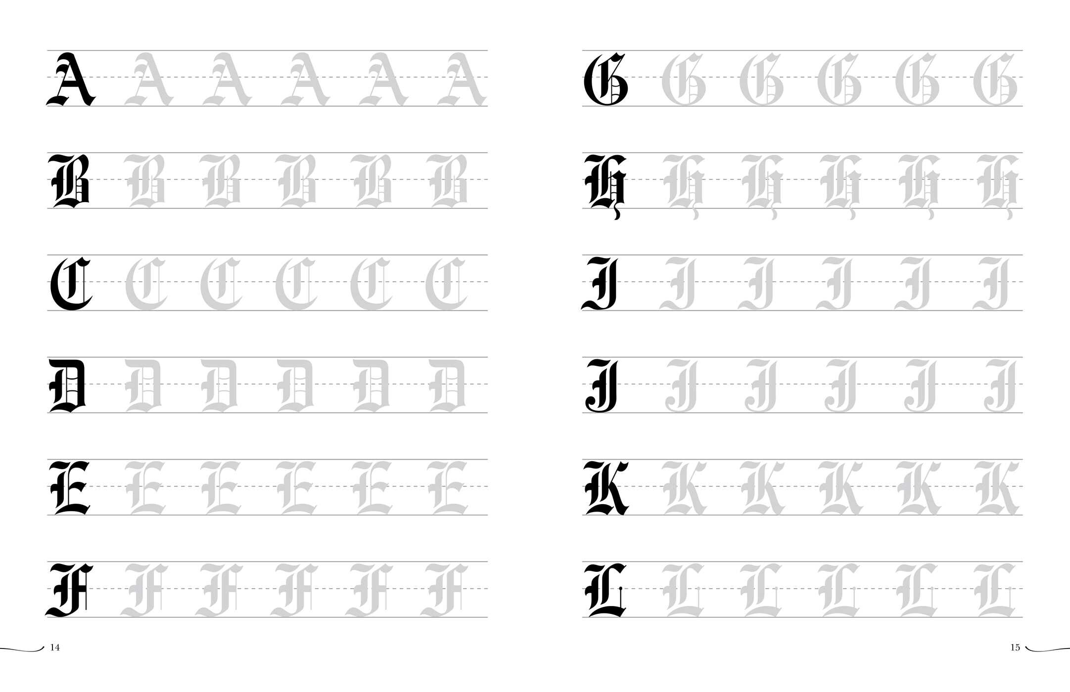 Calligraphy for Swifties: | Book by Sophia Ivy | Official Publisher ...