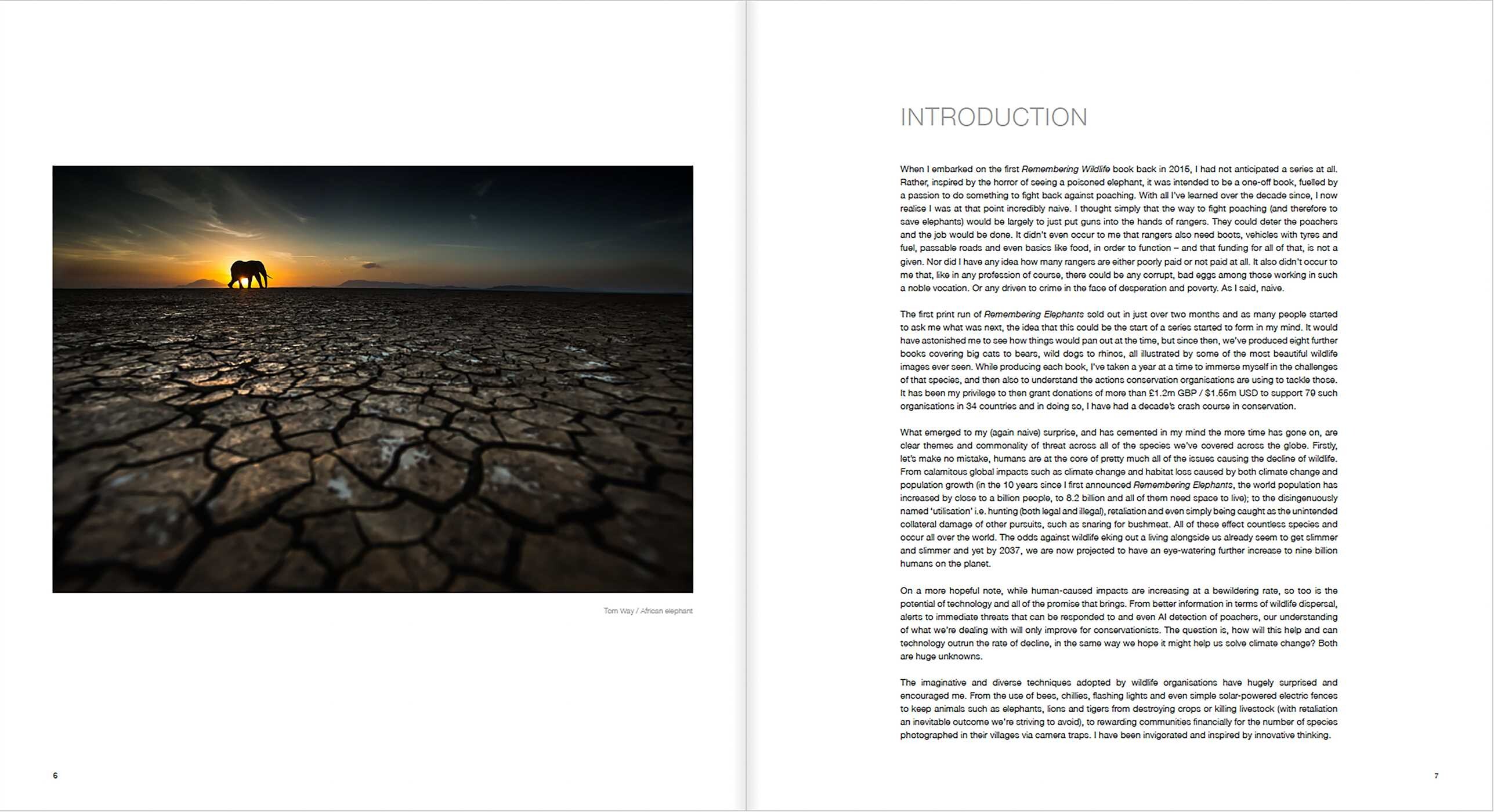 10 Years of Remembering Wildlife | Book by Margot Raggett | Official ...