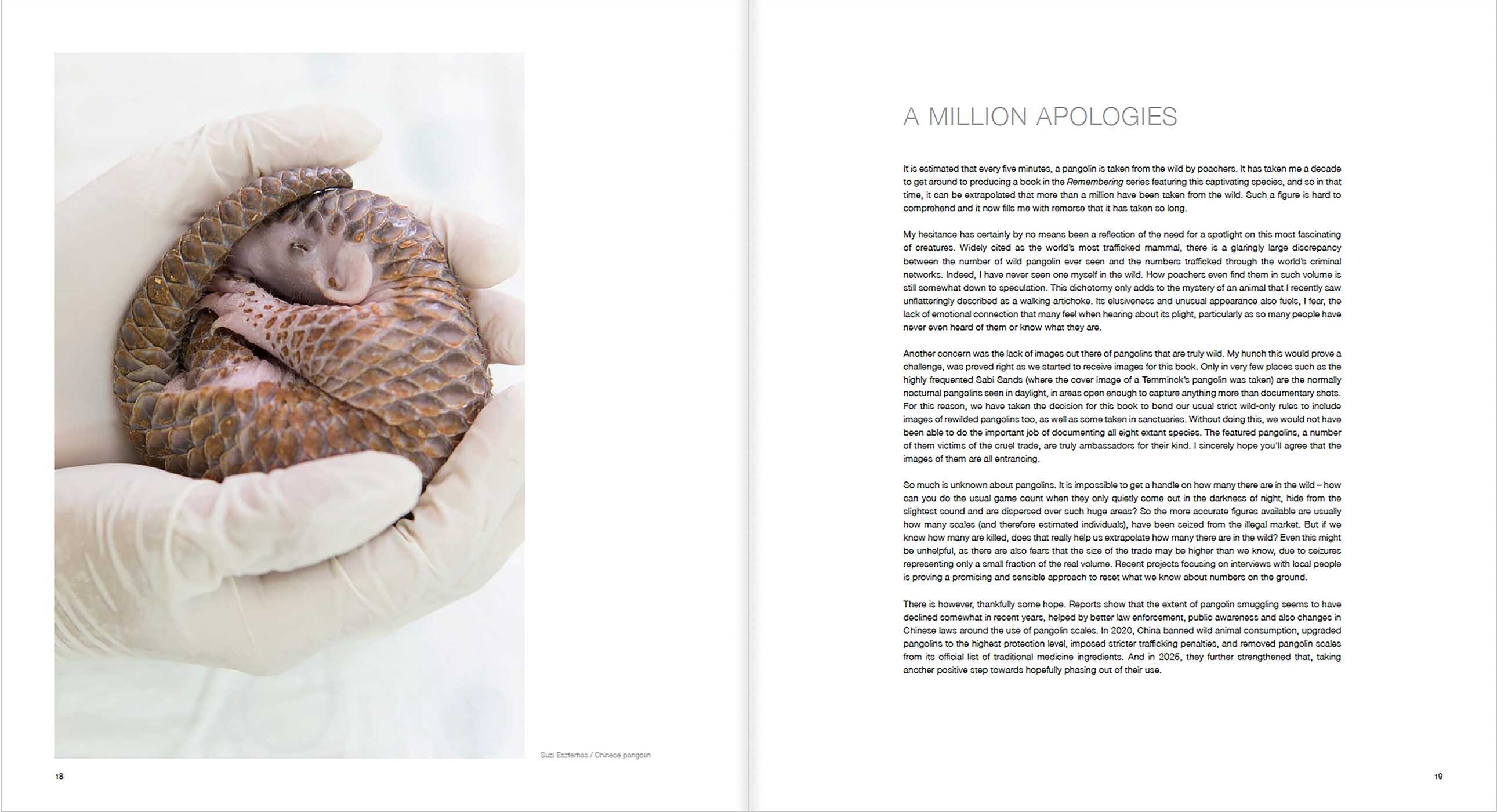 10 Years of Remembering Wildlife | Book by Margot Raggett | Official ...