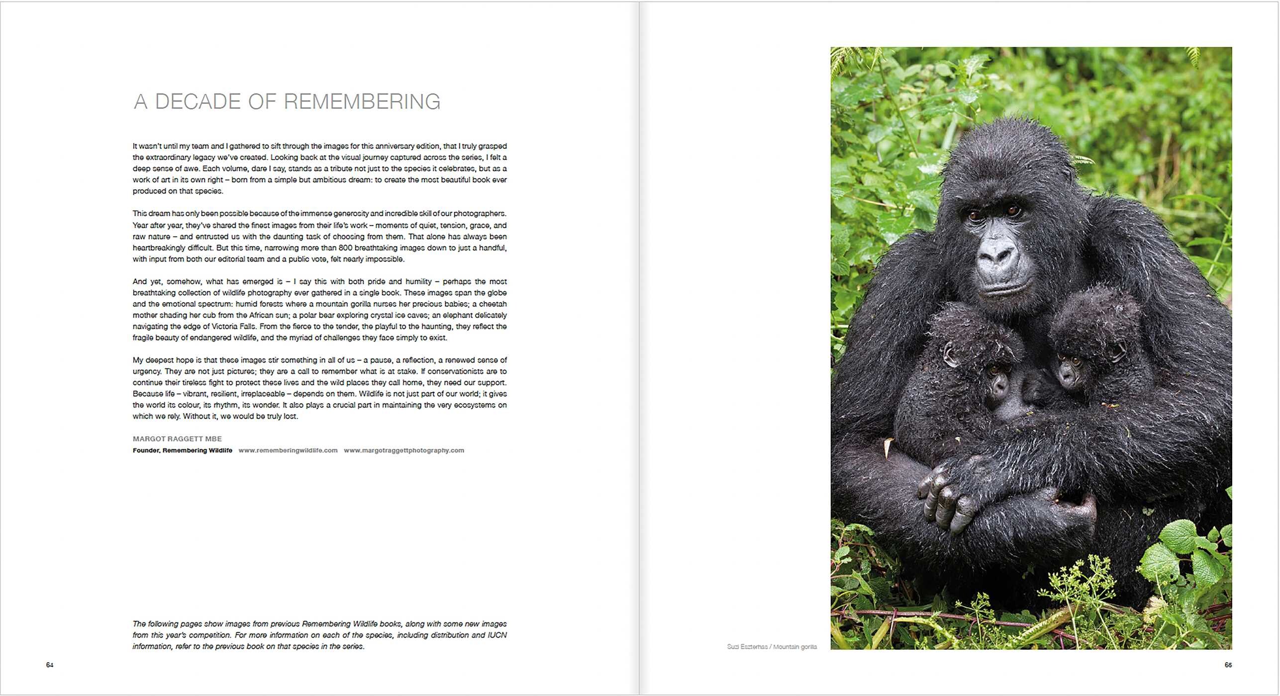 10 Years of Remembering Wildlife | Book by Margot Raggett | Official ...