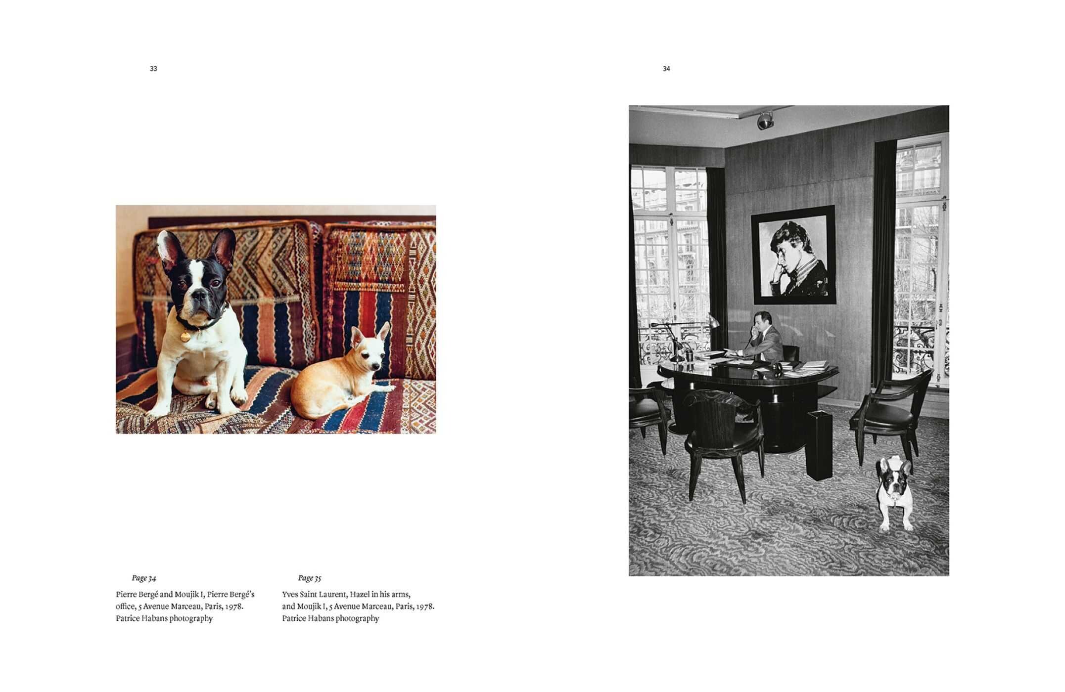 Yves Saint Laurent and his Dogs | Book by Martin Bethenod | Official ...