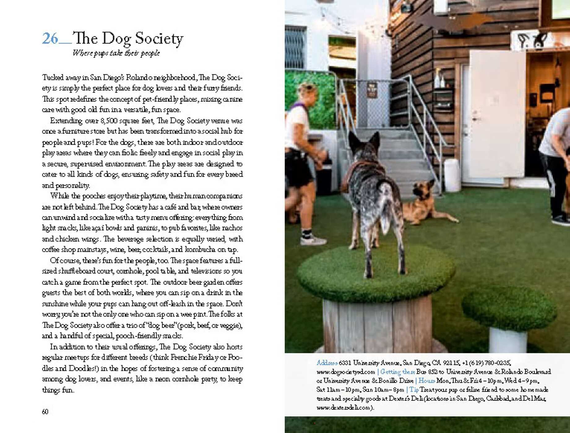 111 Places in Liverpool That You Shouldn't Miss | Book by Peter de ...