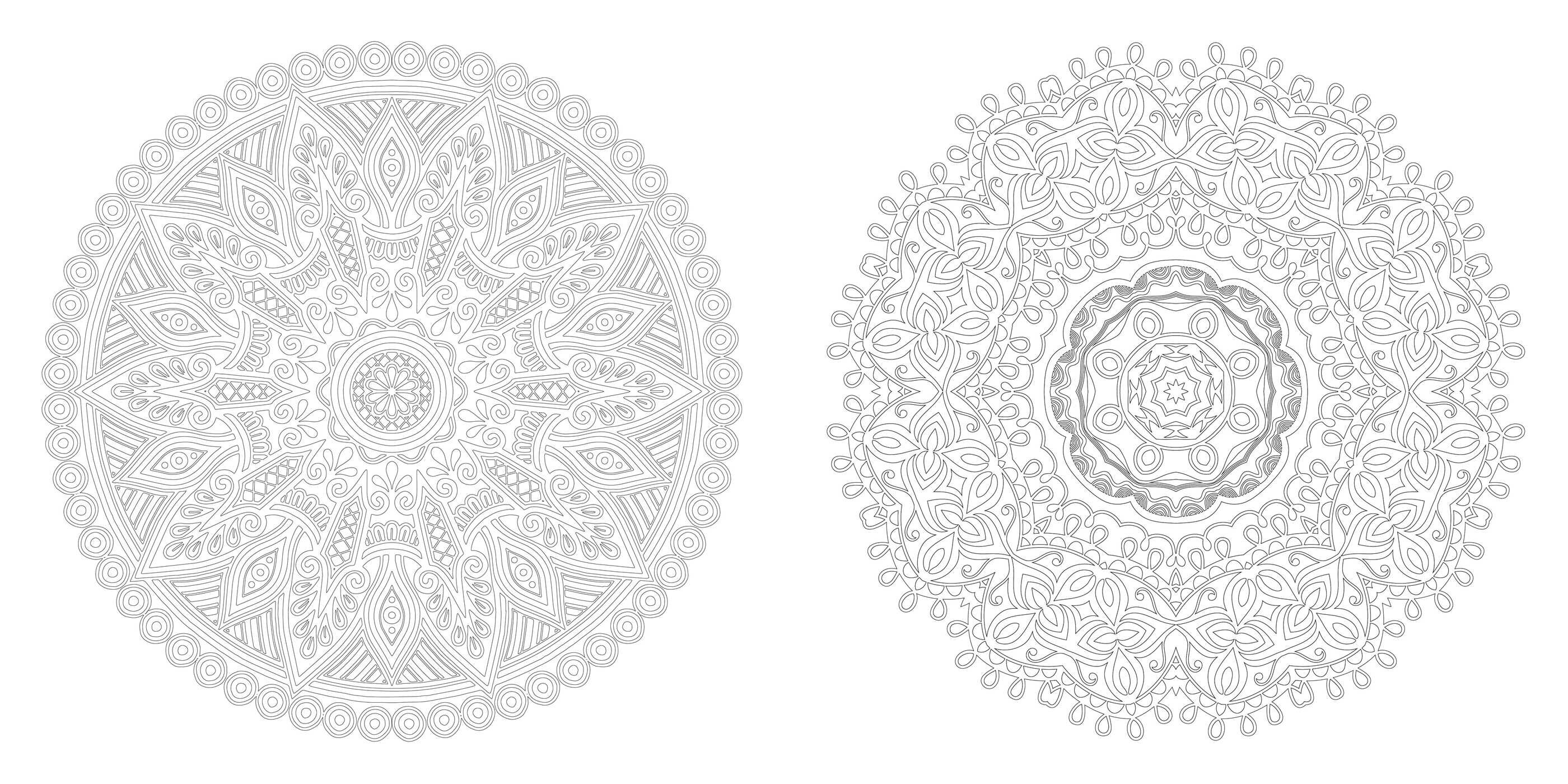 The Mandala Coloring Book | Book by APA | Official Publisher Page ...