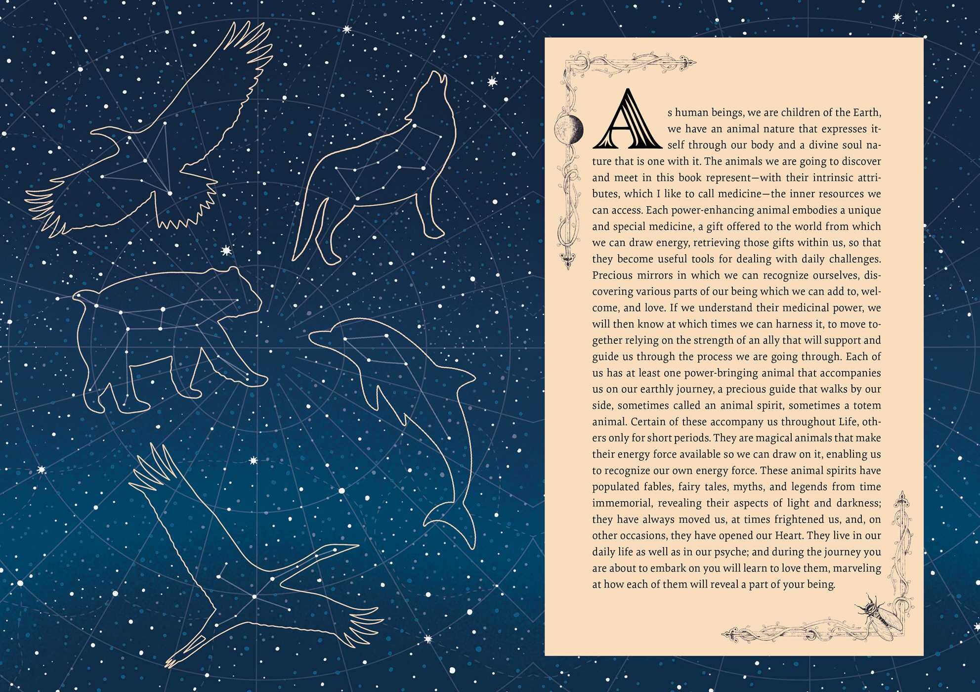 Healing Animals | Book by Federica Kikosmica | Official Publisher Page ...