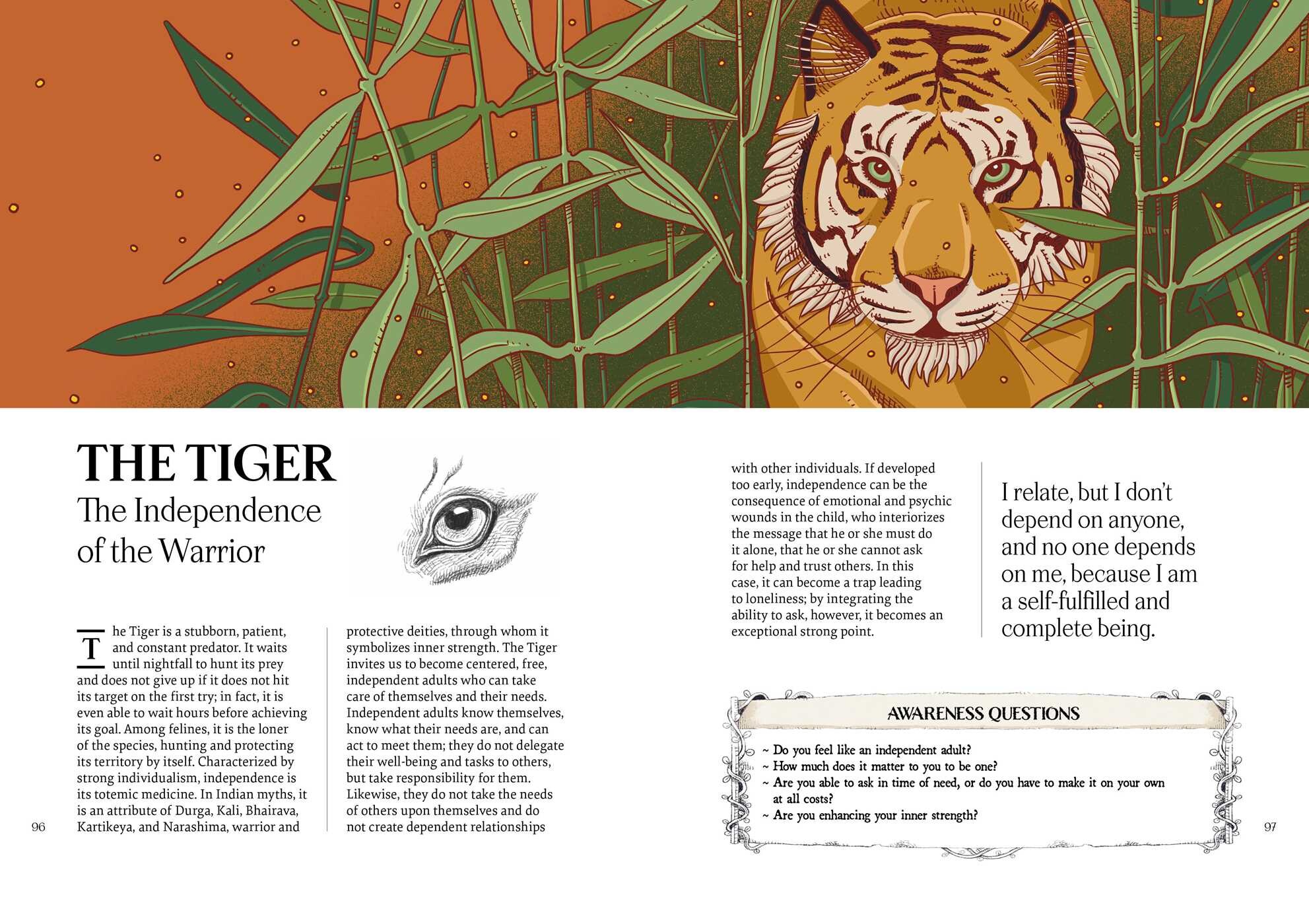 Healing Animals | Book by Federica Kikosmica | Official Publisher Page ...