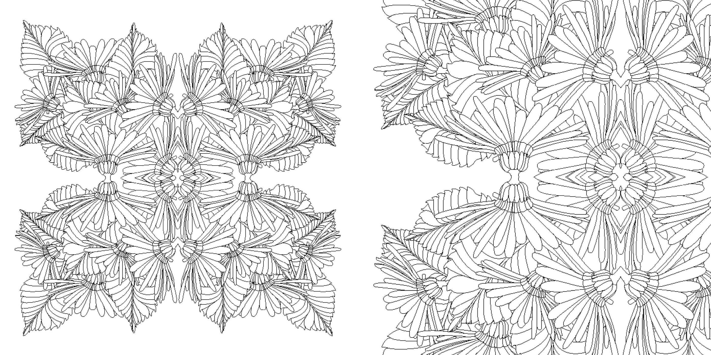 Floral Mandalas Coloring Book | Book by Sara Muzio | Official Publisher ...
