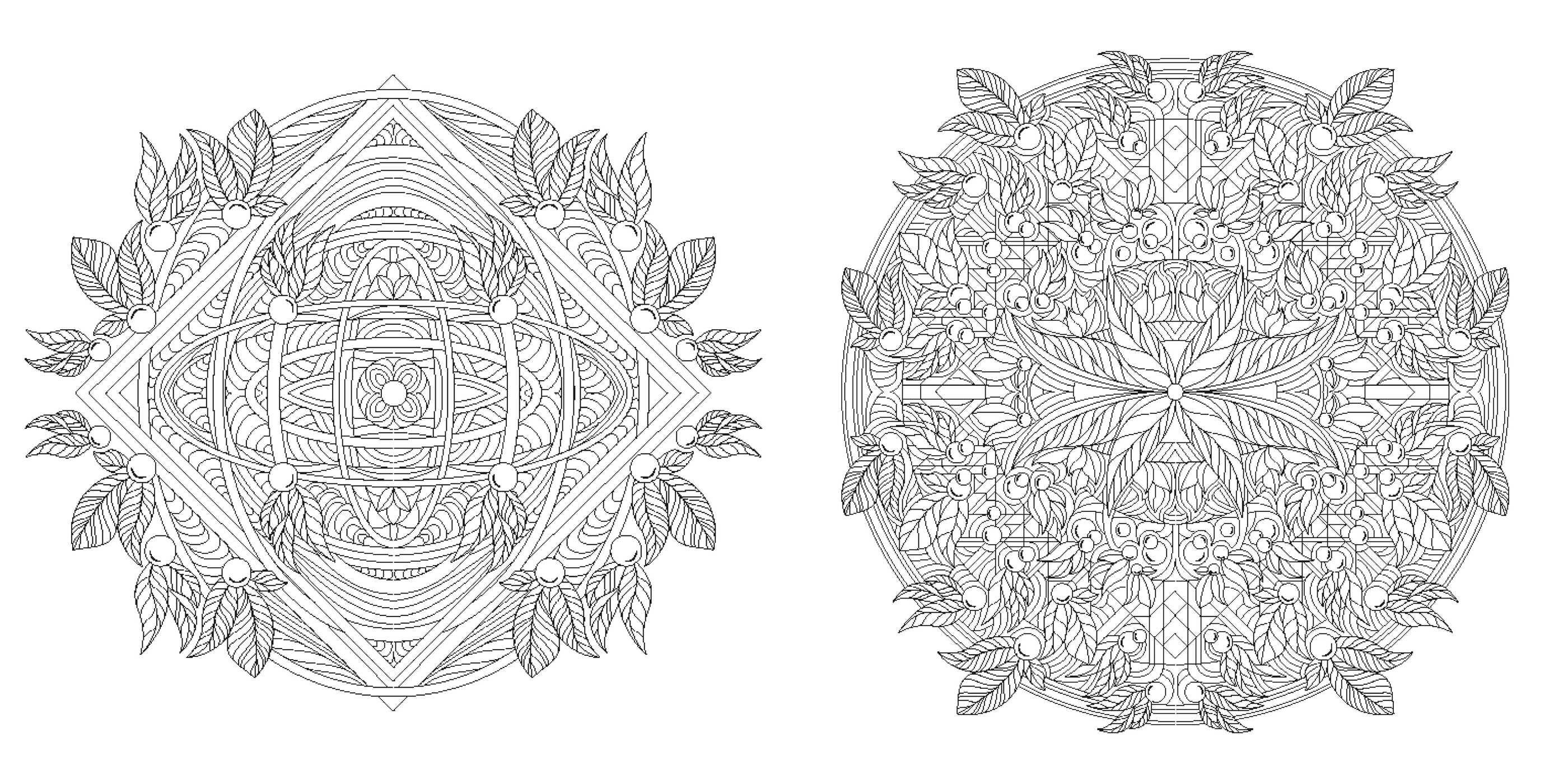 Floral Mandalas Coloring Book | Book by Sara Muzio | Official Publisher ...