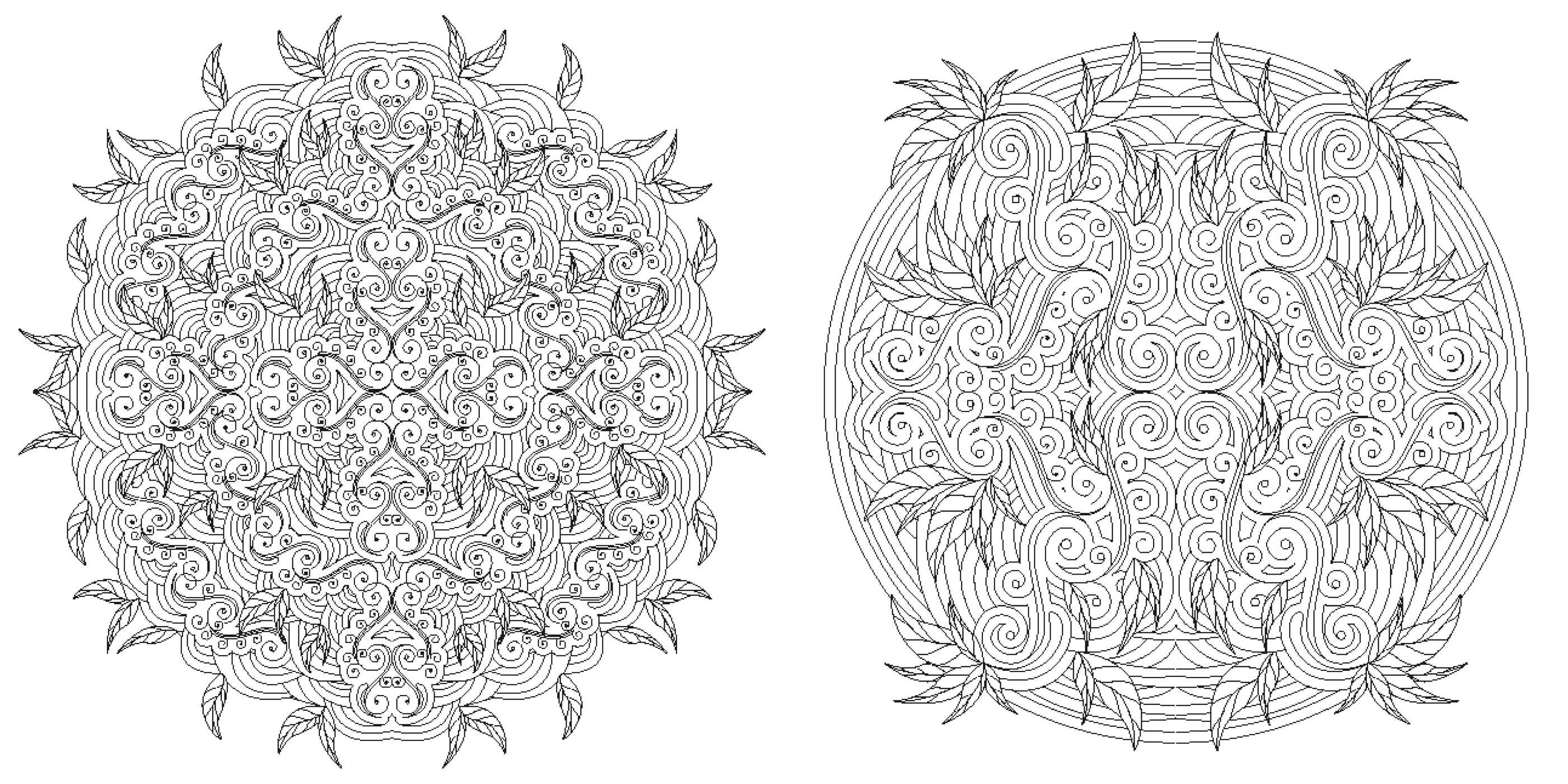Floral Mandalas Coloring Book | Book by Sara Muzio | Official Publisher ...