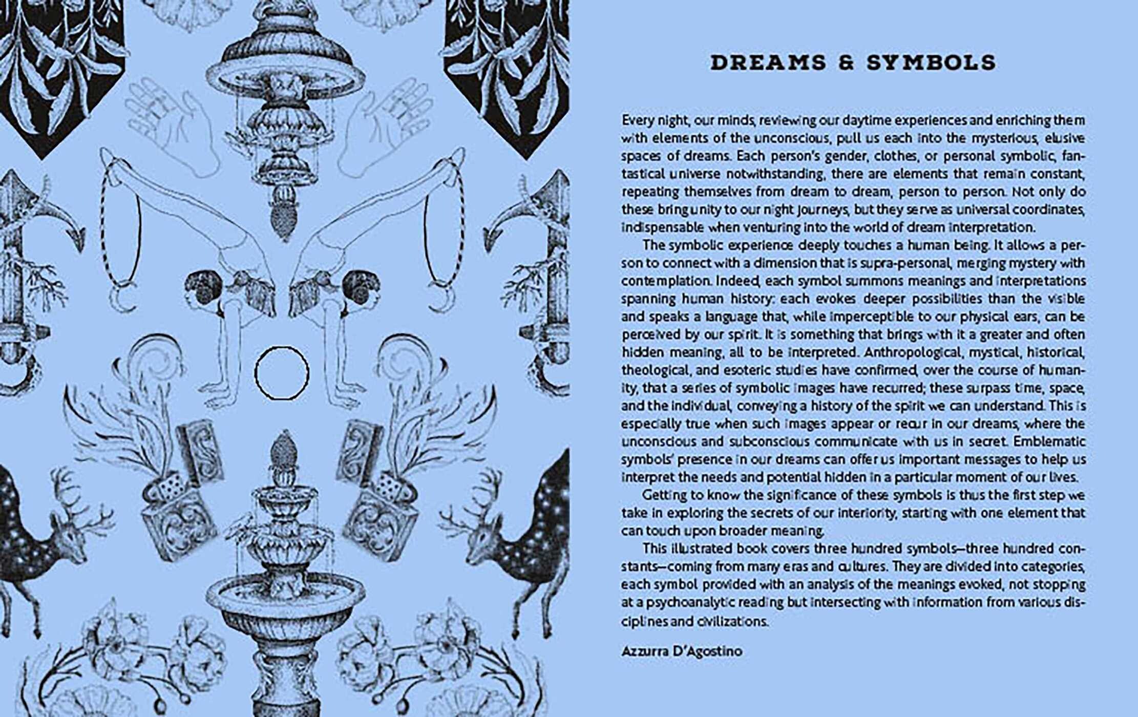 Dreams & Symbols | Book by Azzurra D'Agostino | Official Publisher Page ...