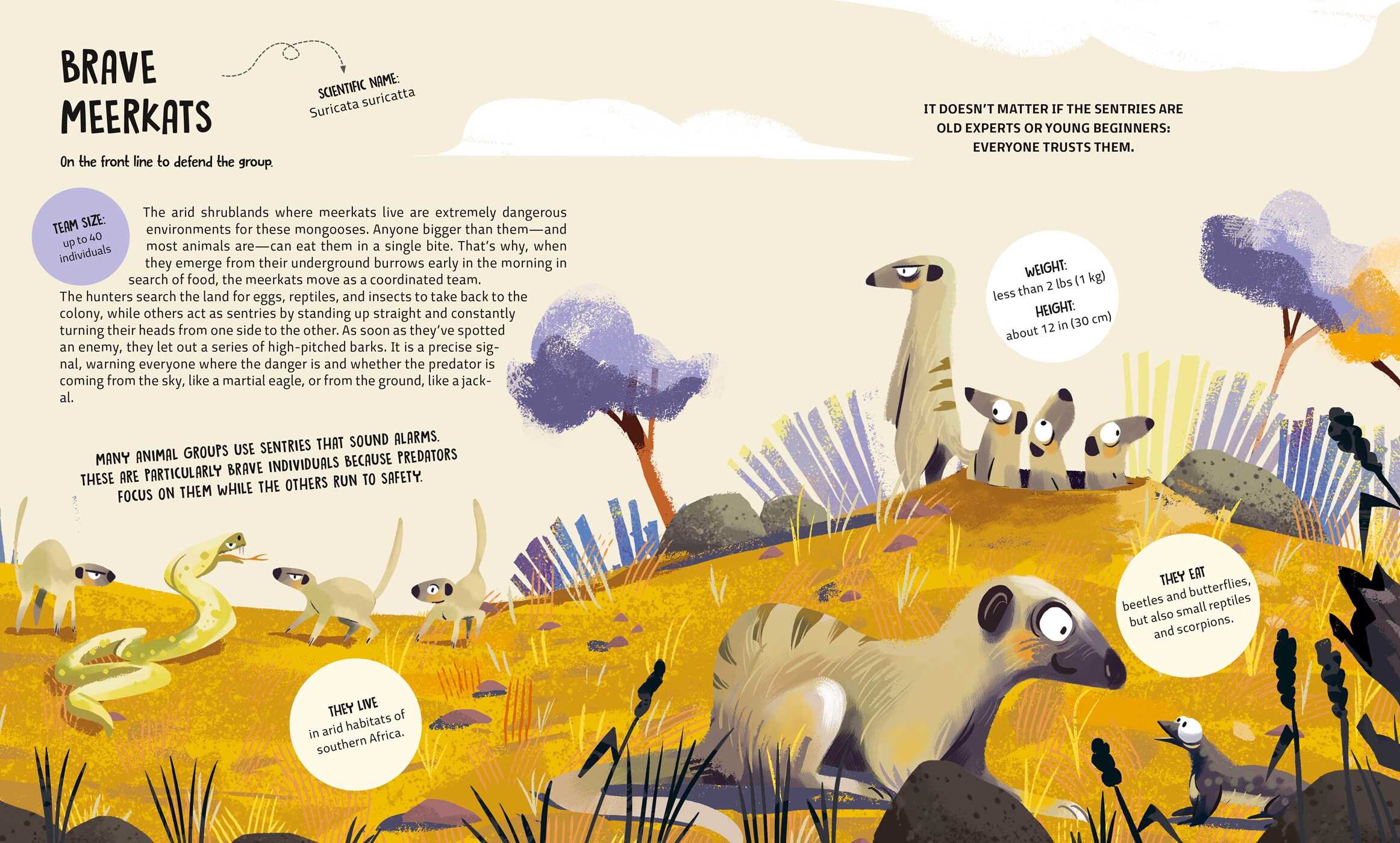 Together is Better! | Book by TECNOSCIENZA | Official Publisher Page ...