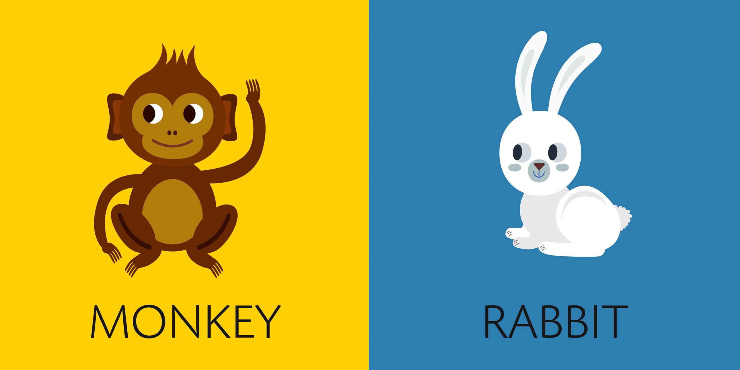 CubeBooks: Toddler Basics | Book by Agnese Baruzzi | Official Publisher ...