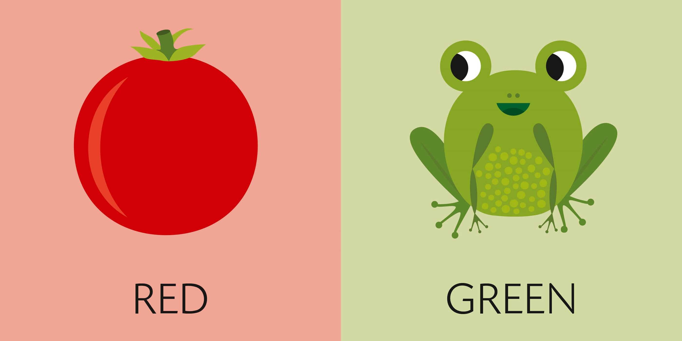 CubeBooks: Toddler Basics | Book by Agnese Baruzzi | Official Publisher ...