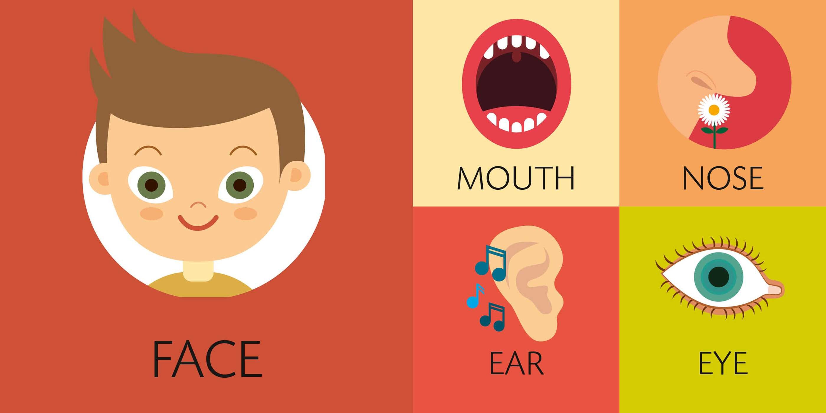 CubeBooks: Toddler Basics | Book by Agnese Baruzzi | Official Publisher ...