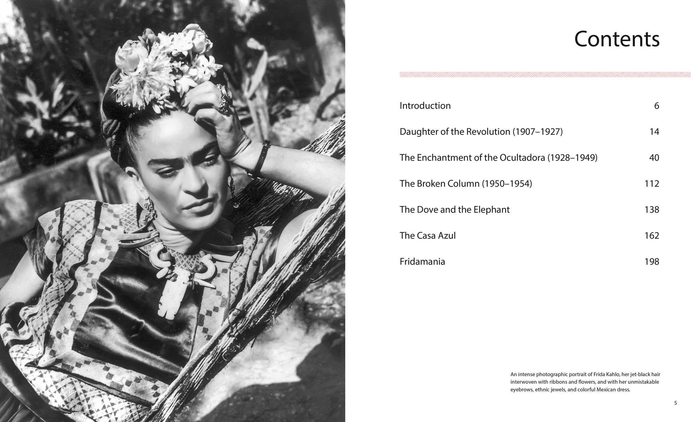 Frida | Book by Chiara Pasqualetti Johnson | Official Publisher Page ...