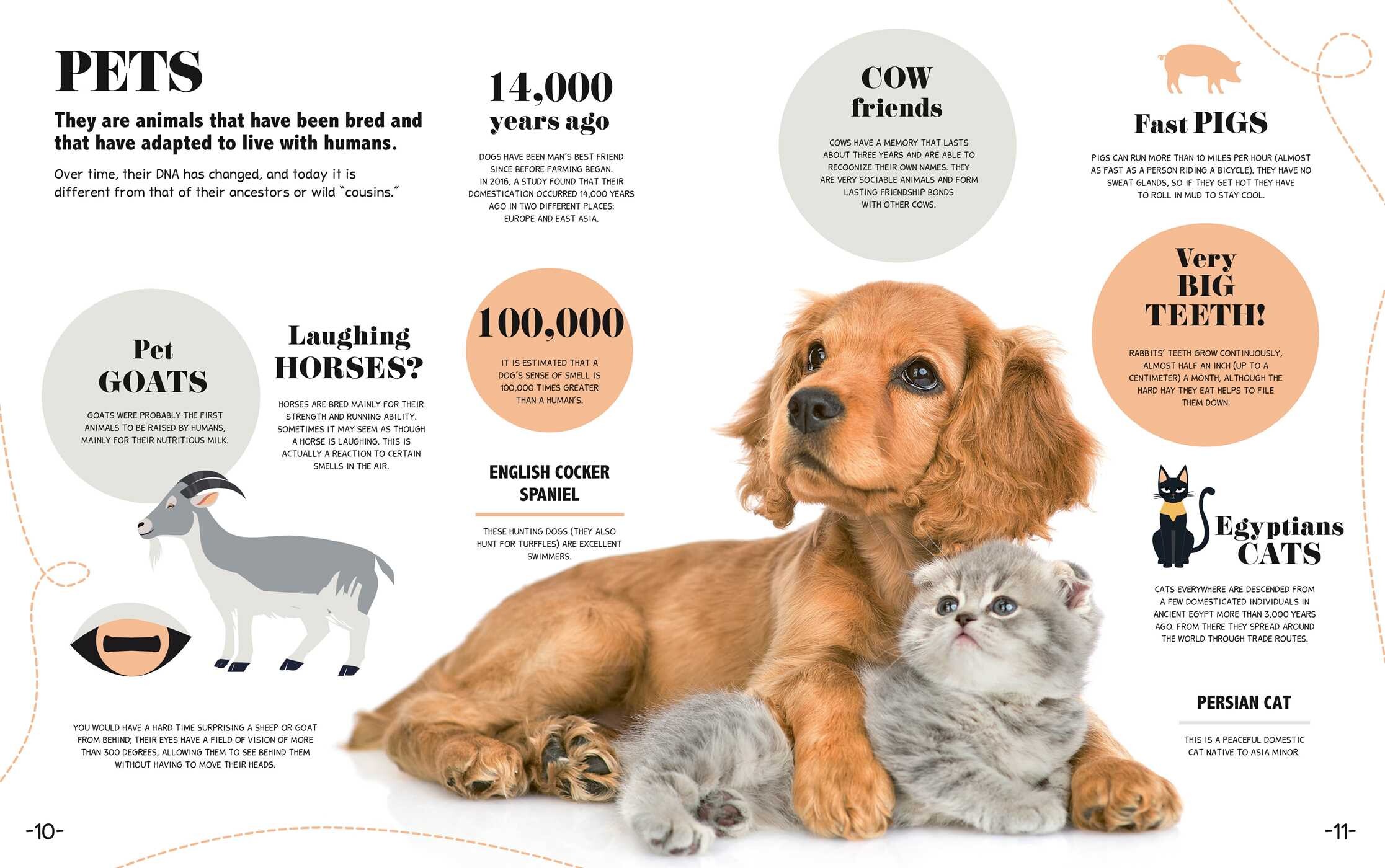 Bite-Sized Facts: Nature | Book by Cristina Banfi | Official Publisher ...
