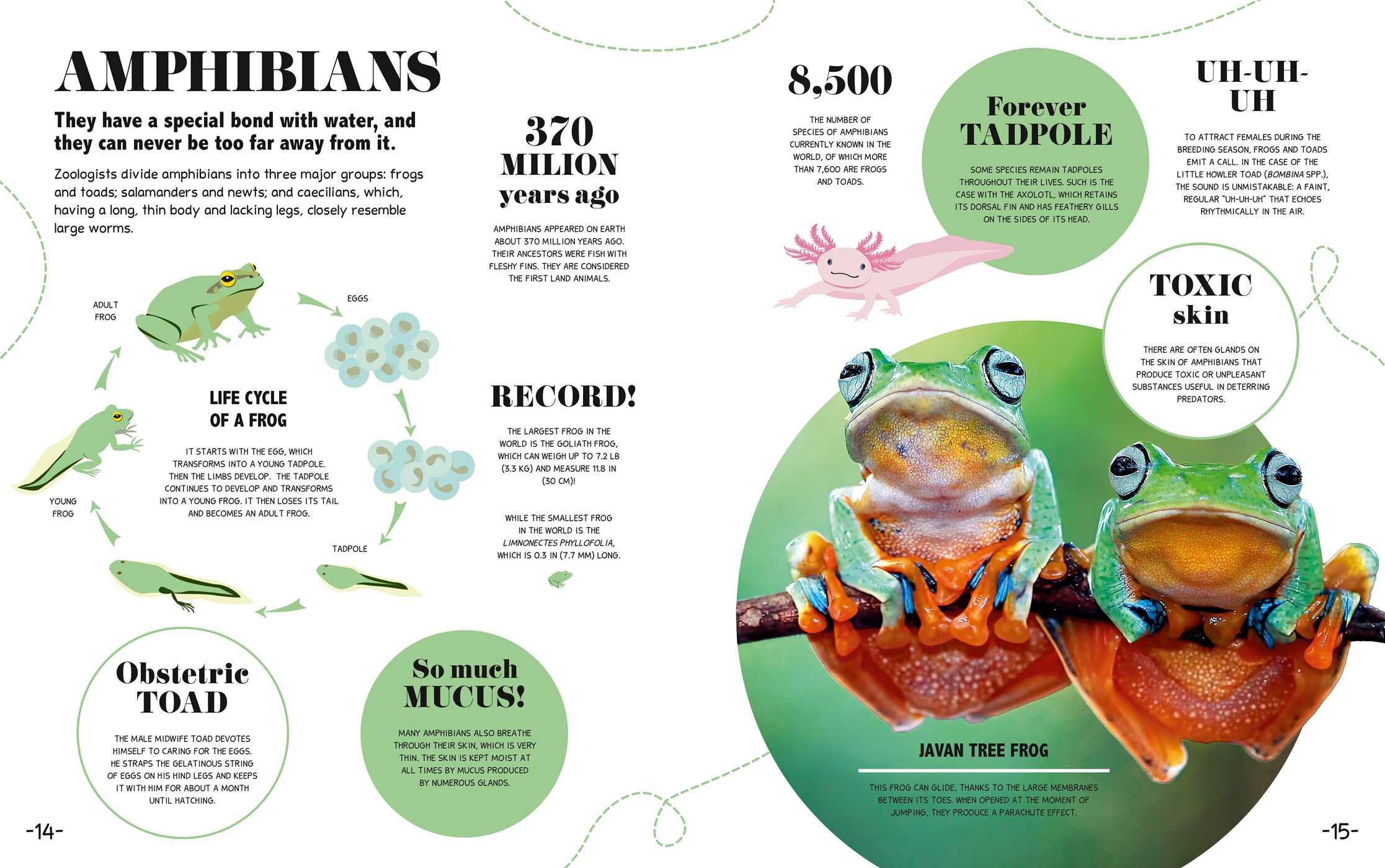 Bite-Sized Facts: Nature | Book by Cristina Banfi | Official Publisher ...
