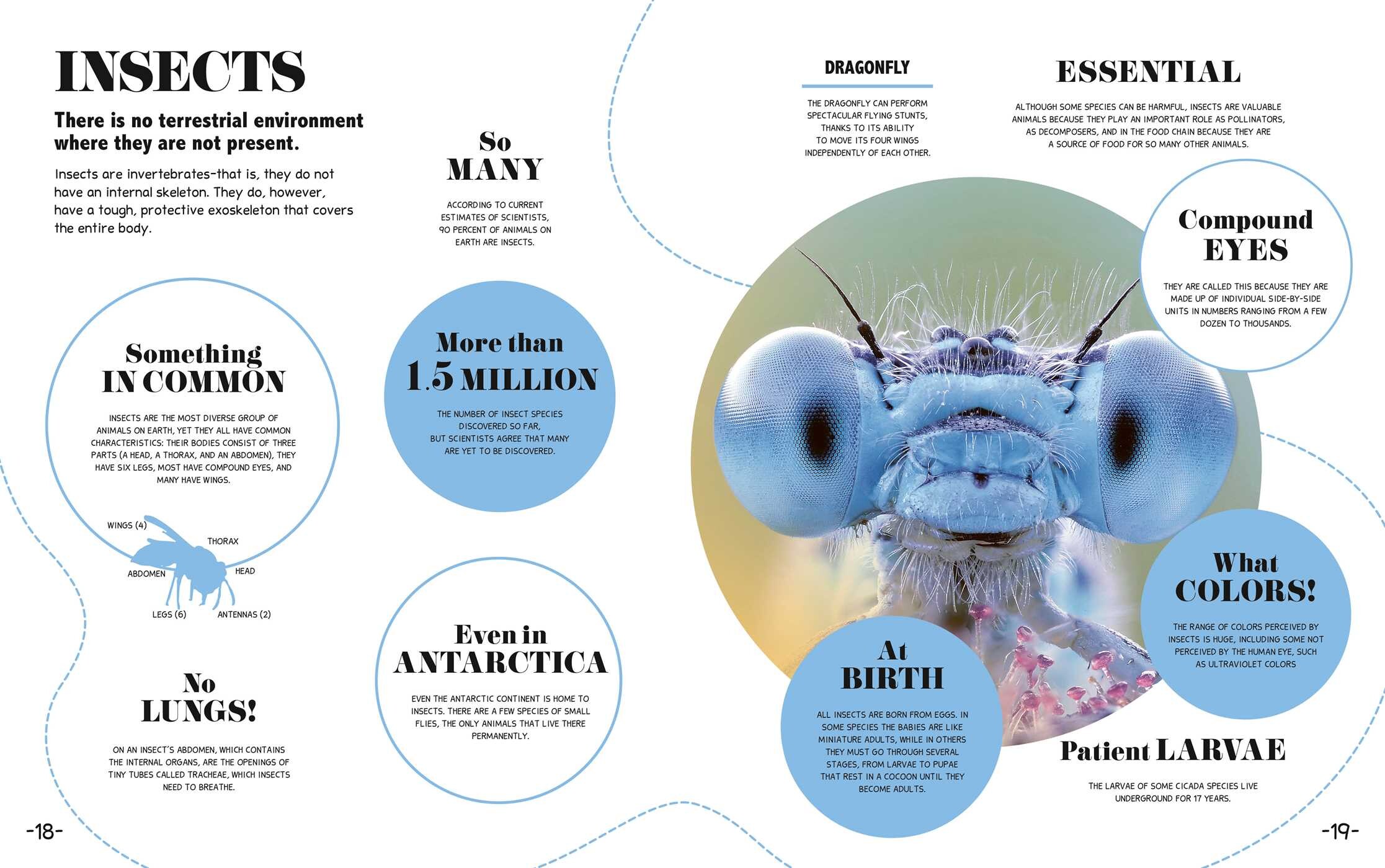 Bite-Sized Facts: Nature | Book by Cristina Banfi | Official Publisher ...