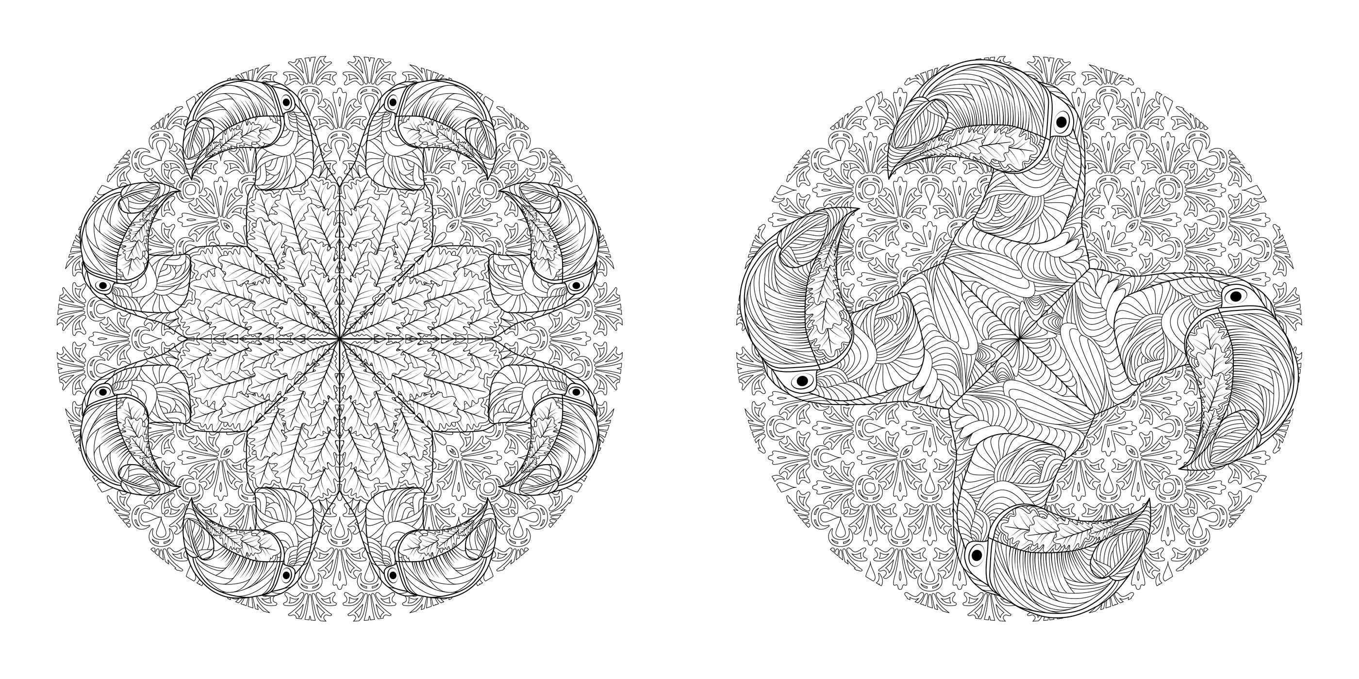 Animal Mandalas Coloring Book | Book by Sara Muzio | Official Publisher ...