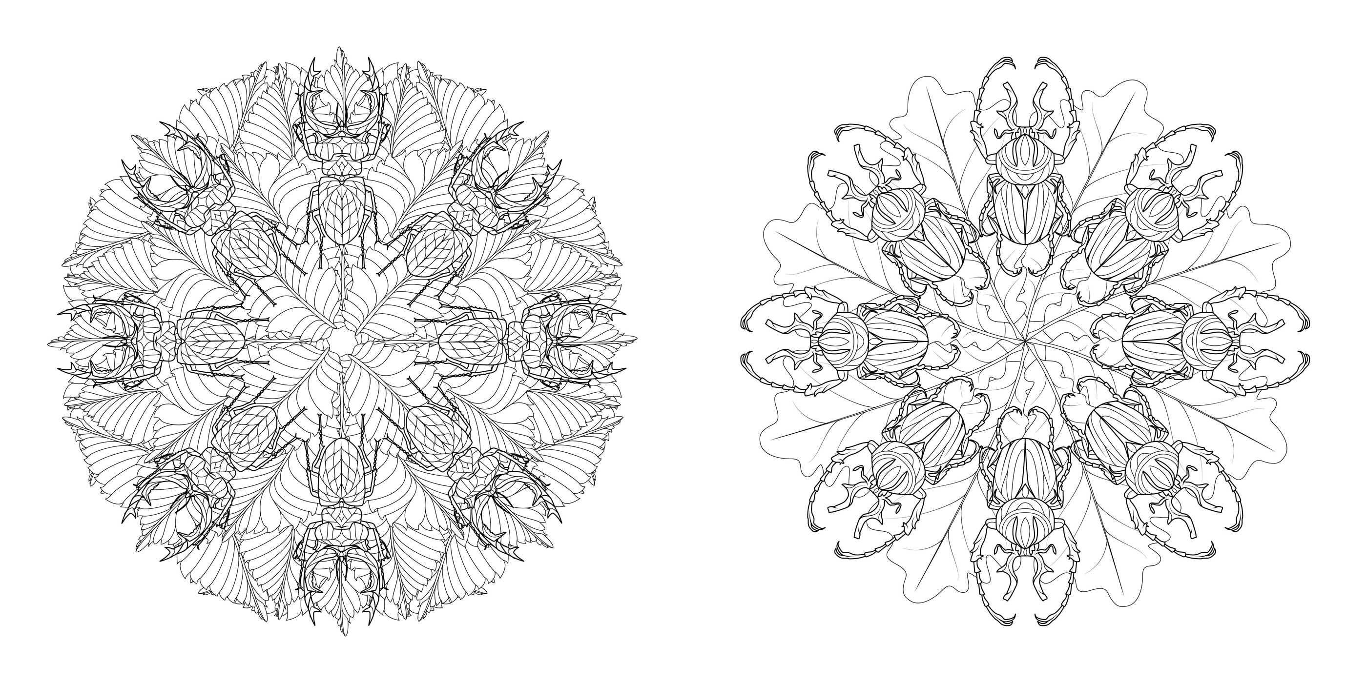 Animal Mandalas Coloring Book | Book by Sara Muzio | Official Publisher ...