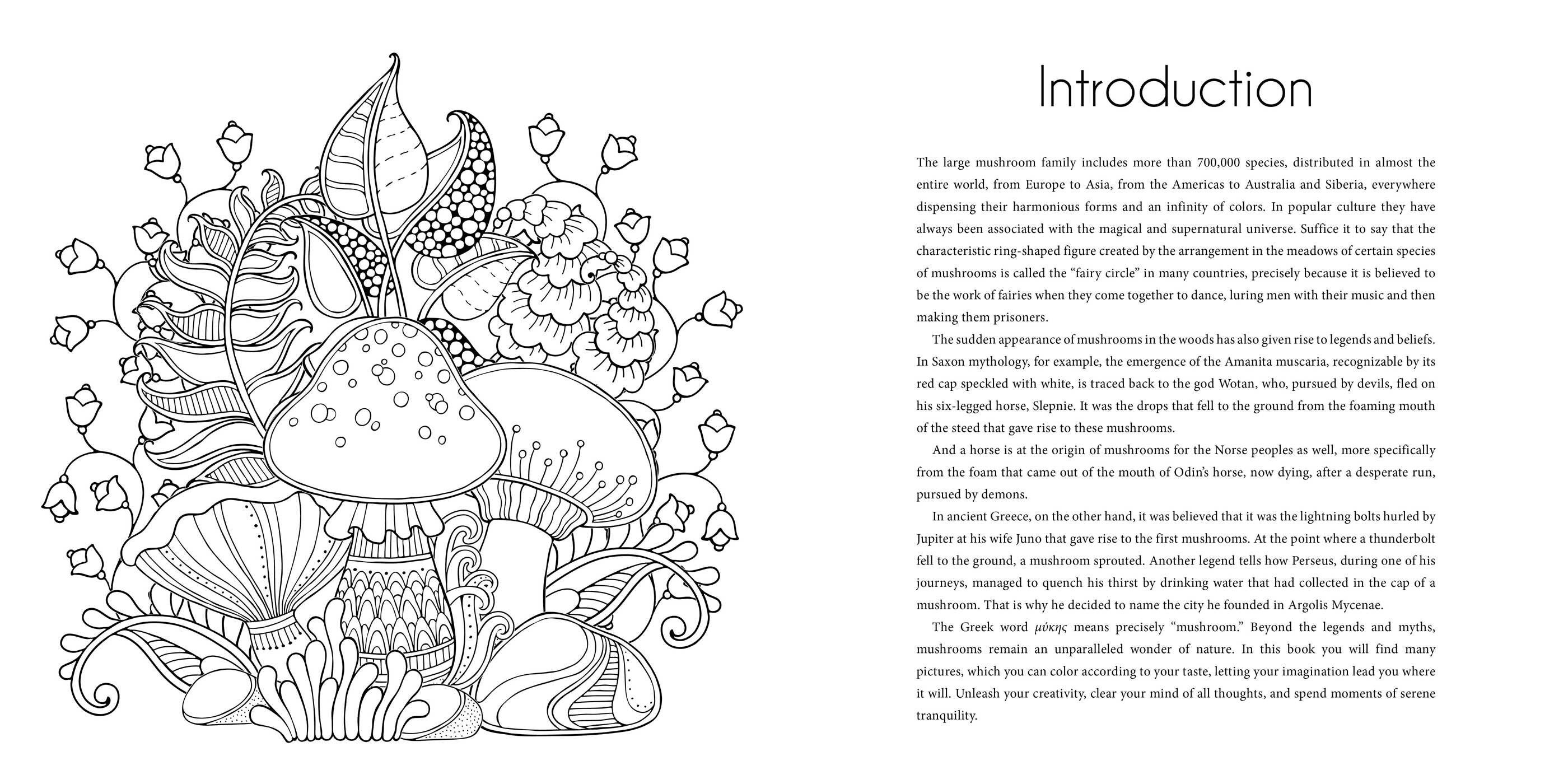 Magic Mushrooms Coloring Book | Book by Paola Piacco | Official ...