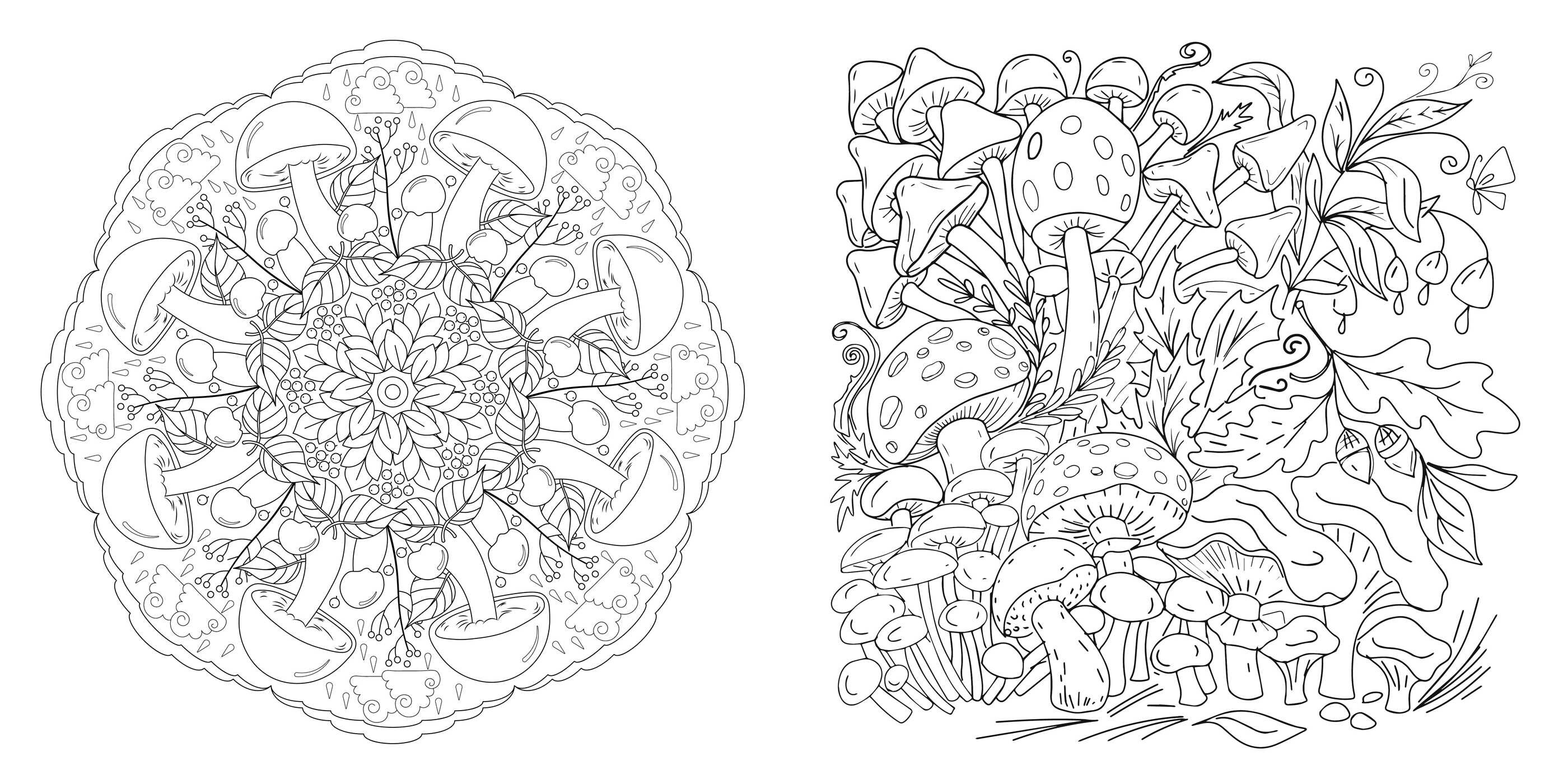 Magic Mushrooms Coloring Book | Book by Paola Piacco | Official ...