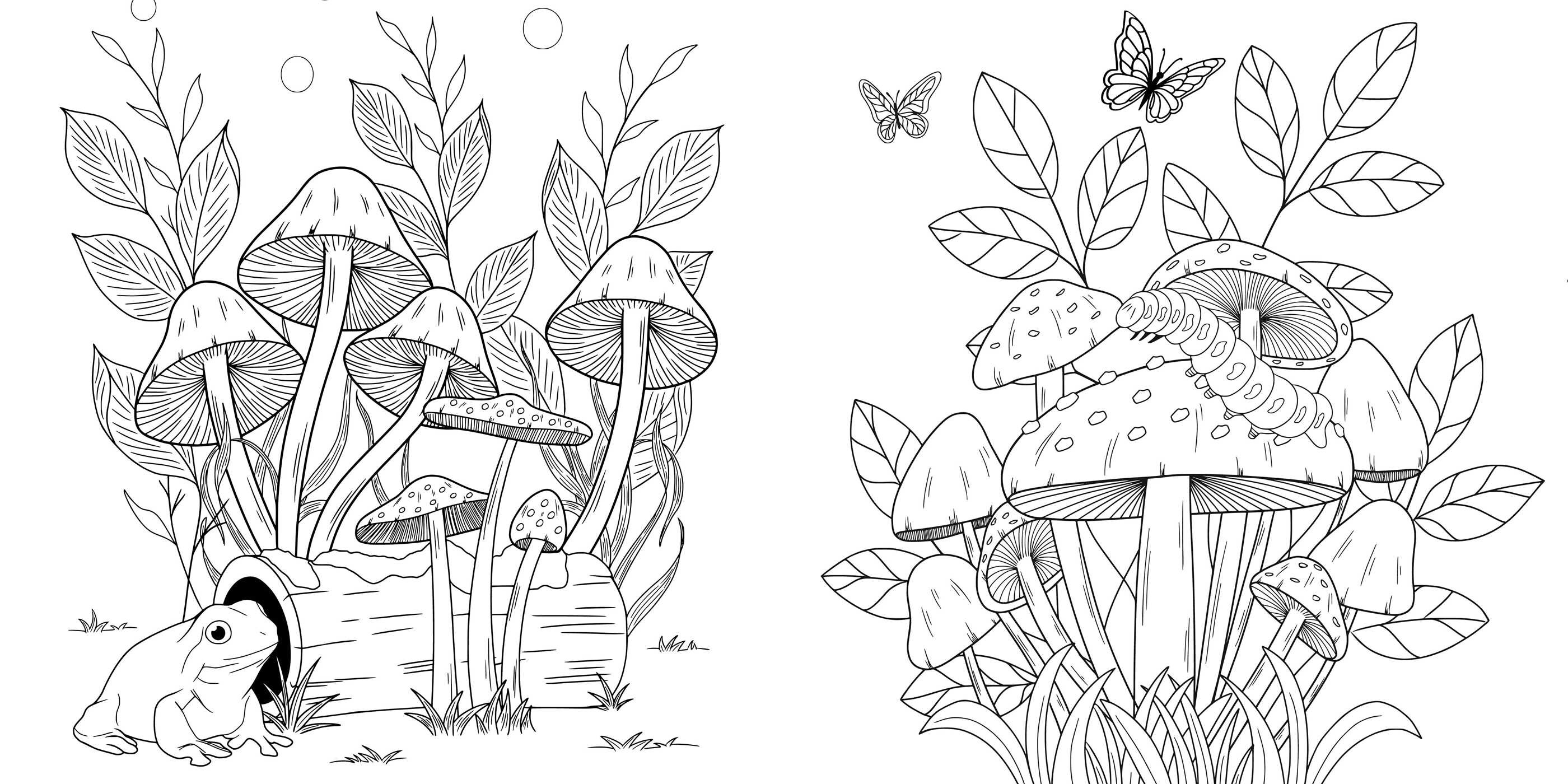 Magic Mushrooms Coloring Book | Book by Paola Piacco | Official ...
