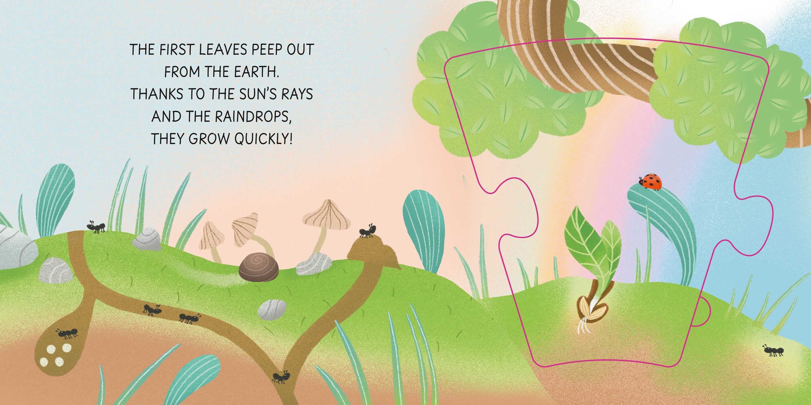 Grow-a-Puzzle. Becoming a Flower | Book by Ester Castelnuovo | Official ...