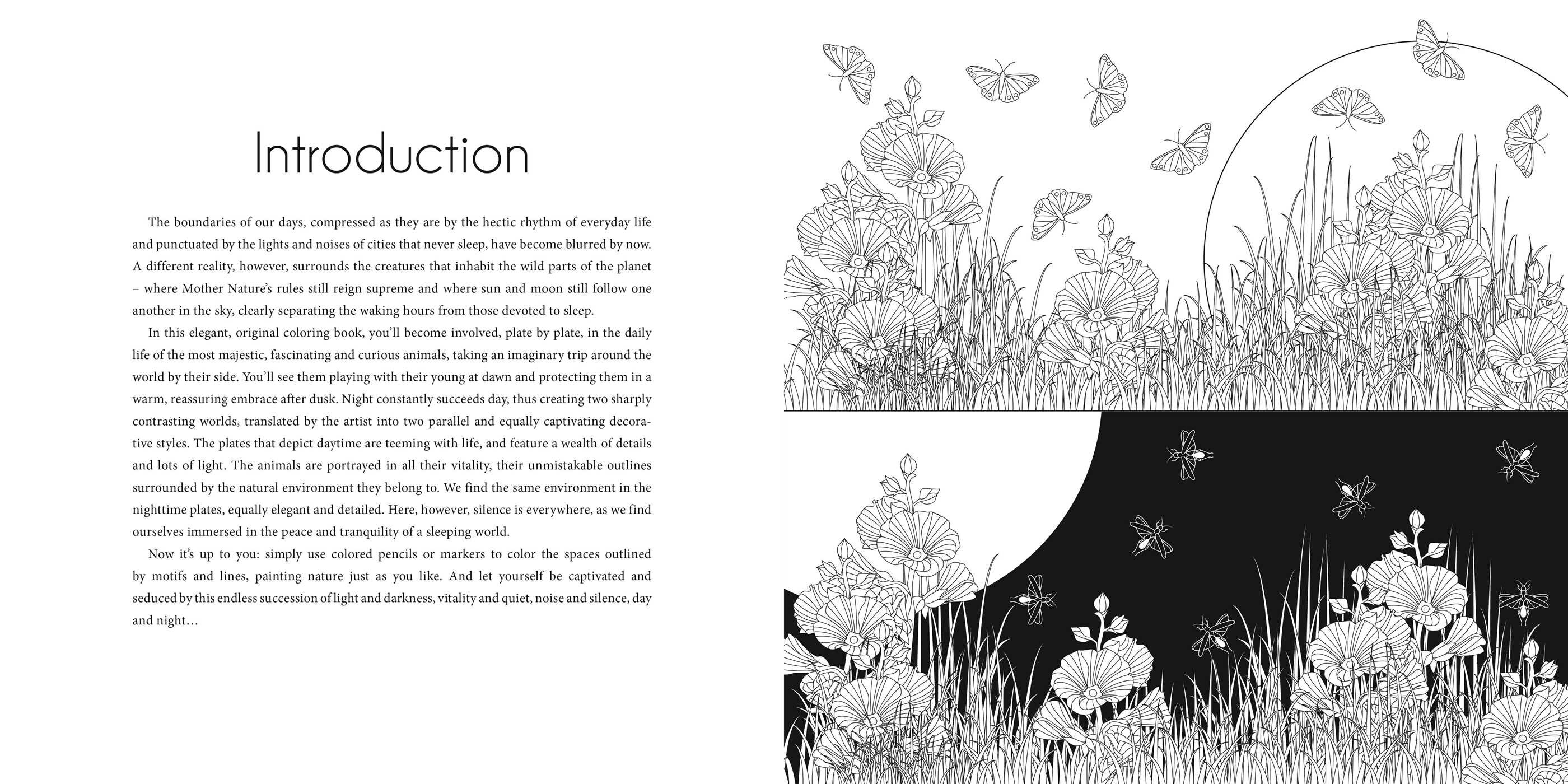 Night & Day Coloring Book | Book by Sara Muzio | Official Publisher ...