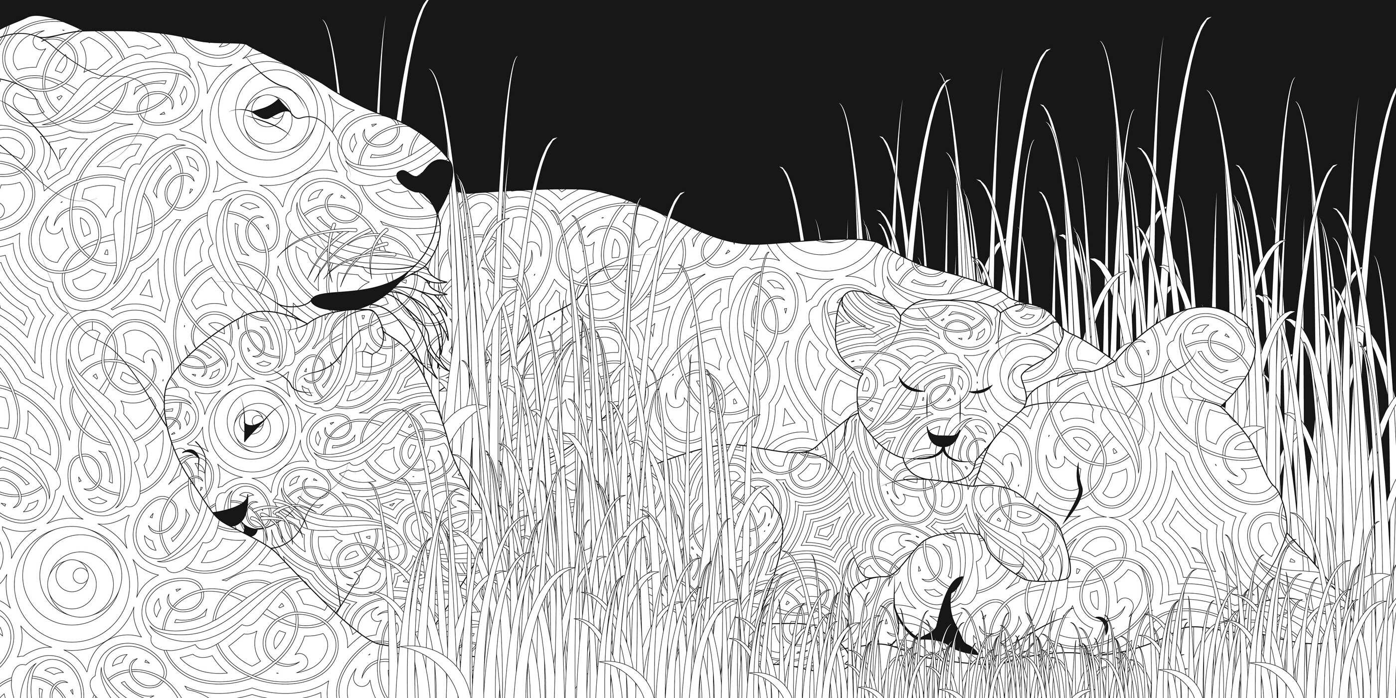 Night & Day Coloring Book | Book by Sara Muzio | Official Publisher ...