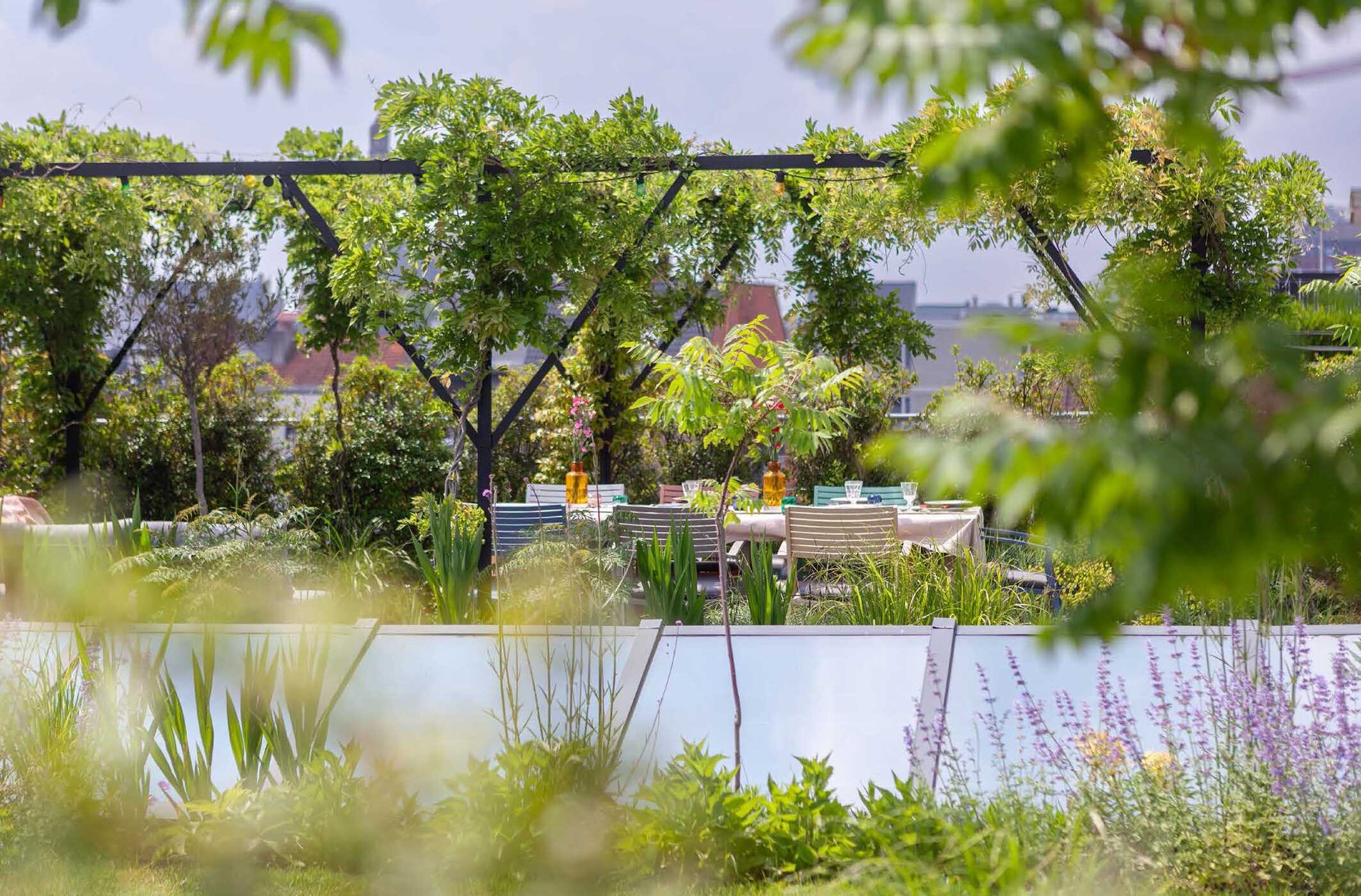 Wild Harmony | Book by Bart Haverkamp, Pieter Croes | Official ...